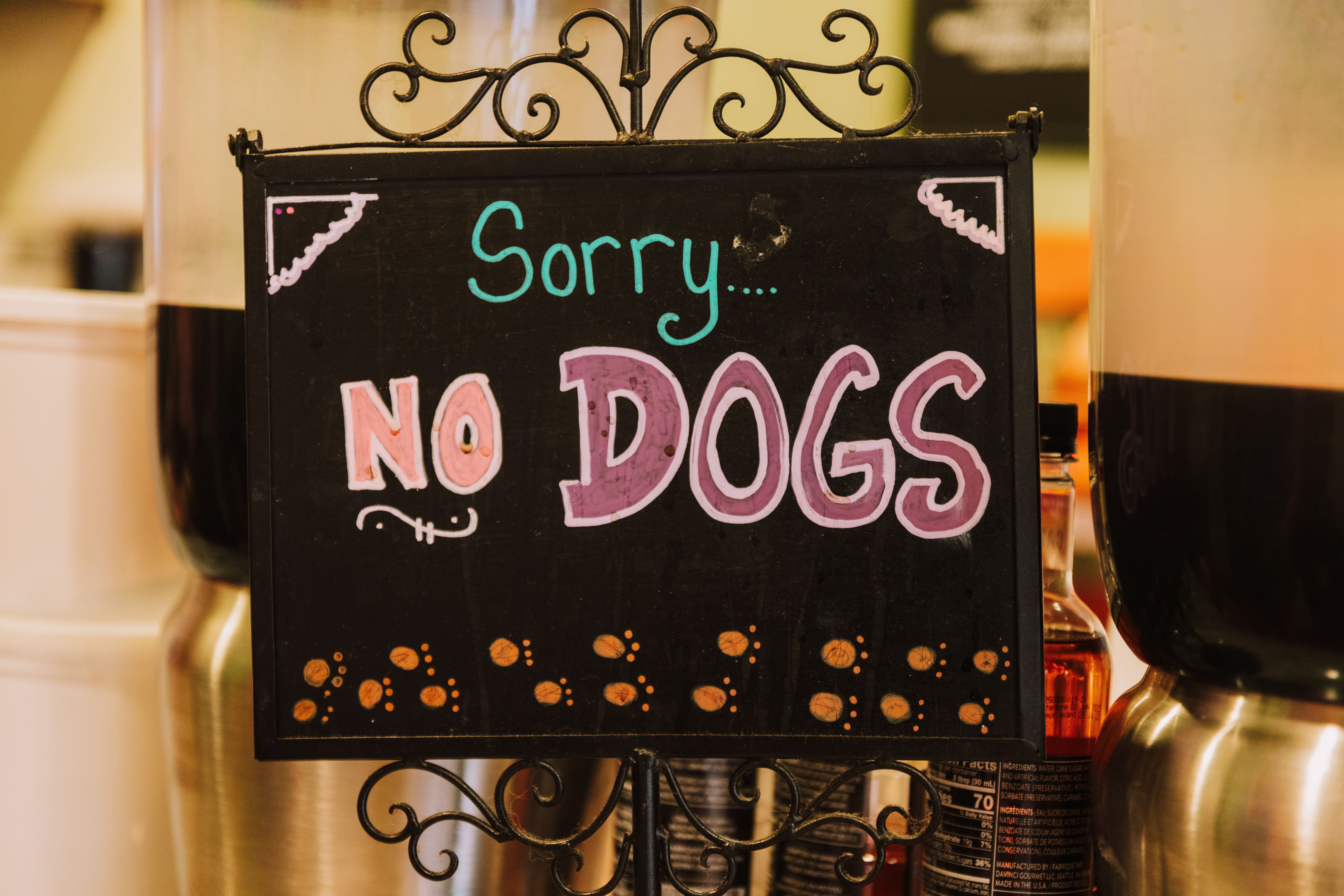 No Dogs Sign at Restaurant · Free Stock Photo