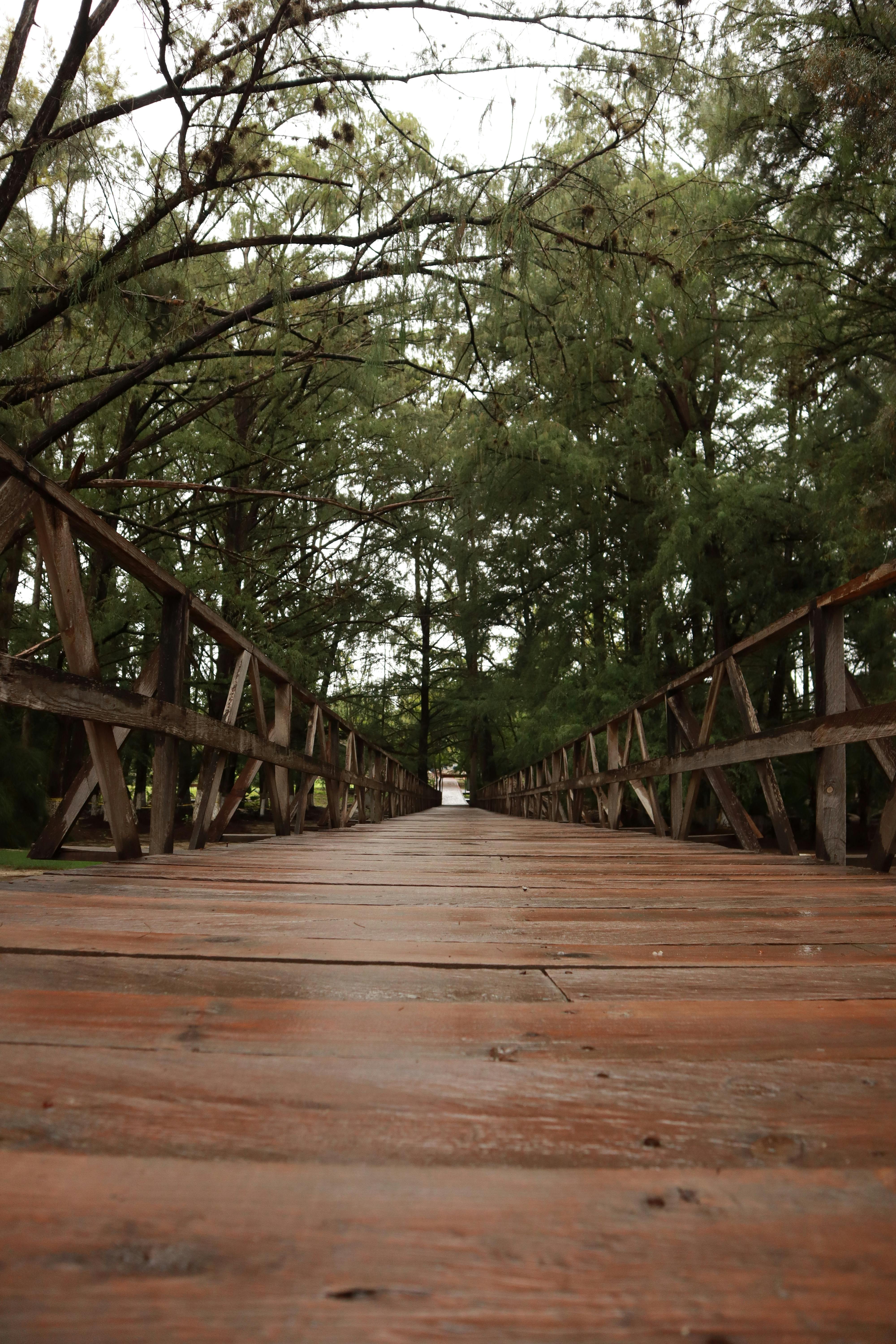 Low Angle Shot of a Wooden Footbridge in a Park · Free Stock Photo
