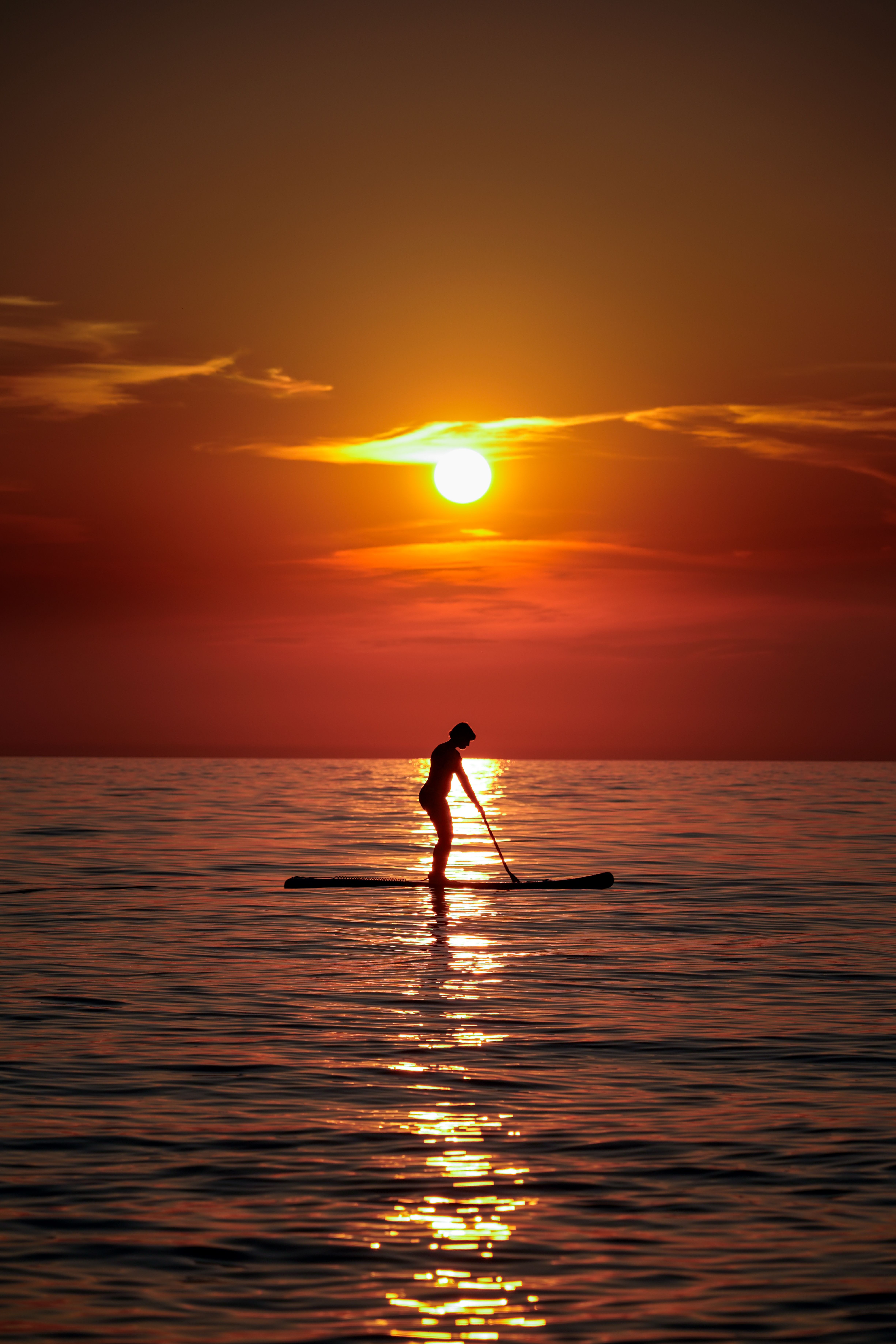 Man on Paddle Board on Sea Shore · Free Stock Photo