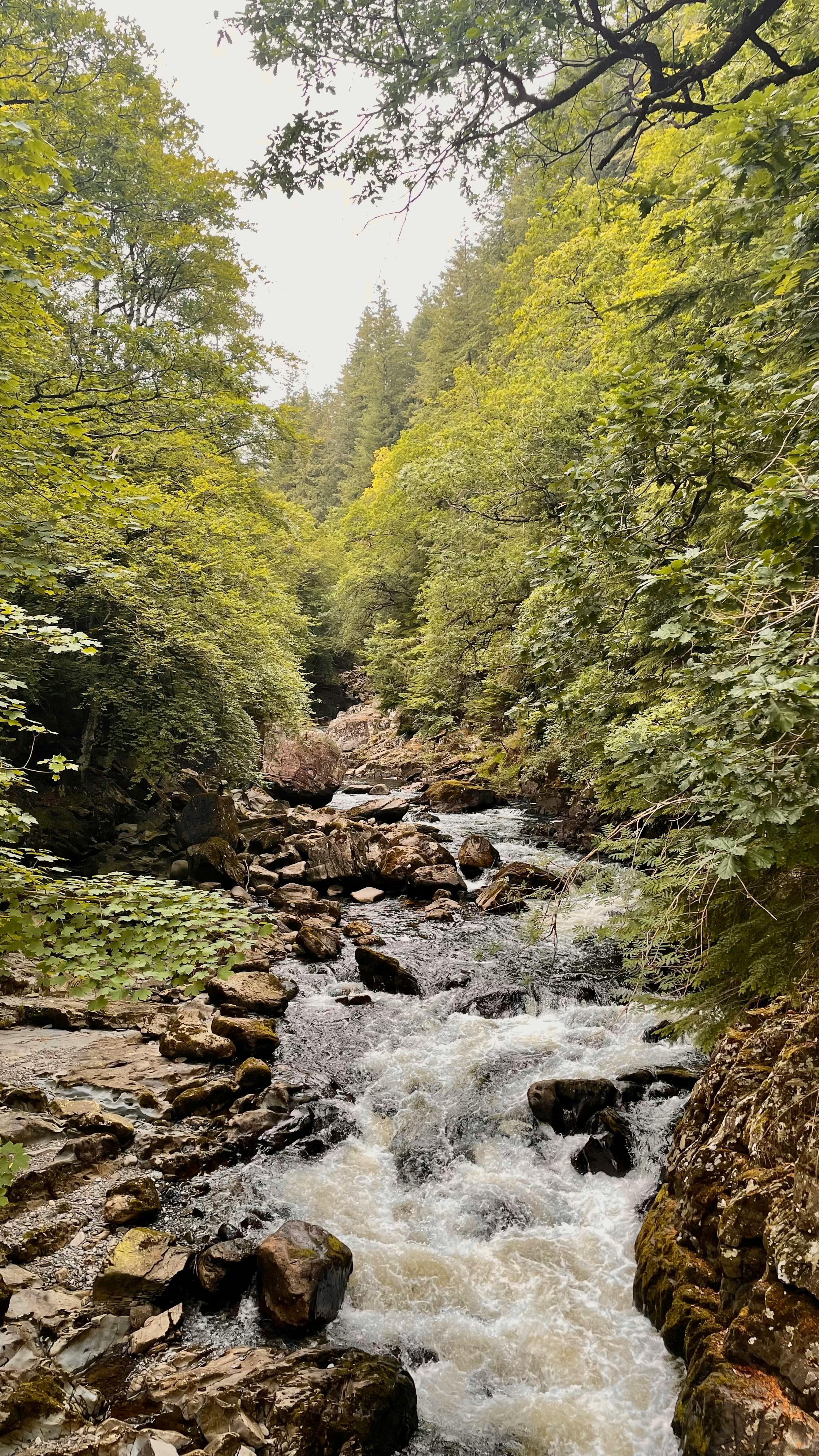 Rivulets Photos, Download The BEST Free Rivulets Stock Photos & HD Images