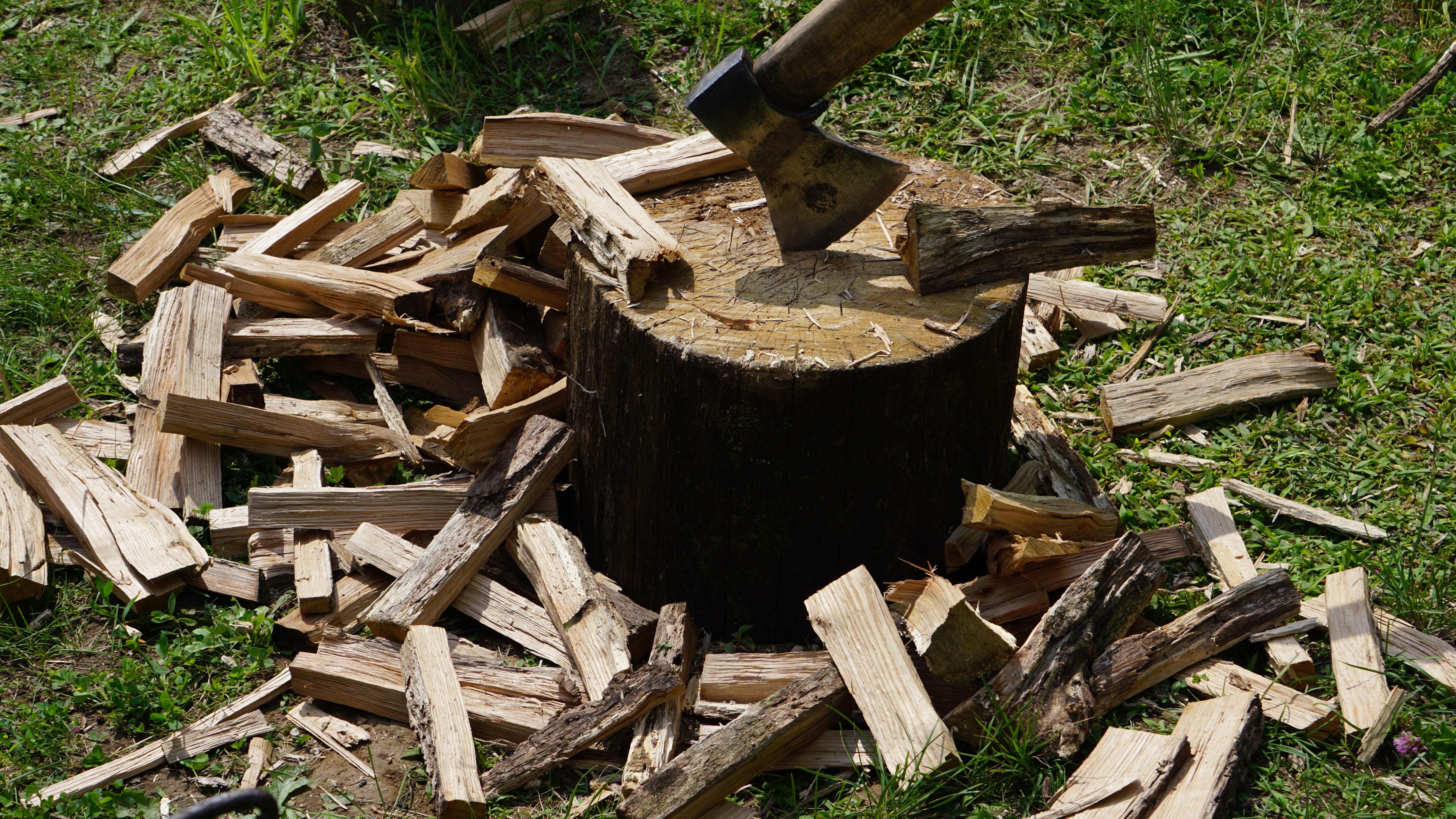 Axe on Tree Trunk · Free Stock Photo