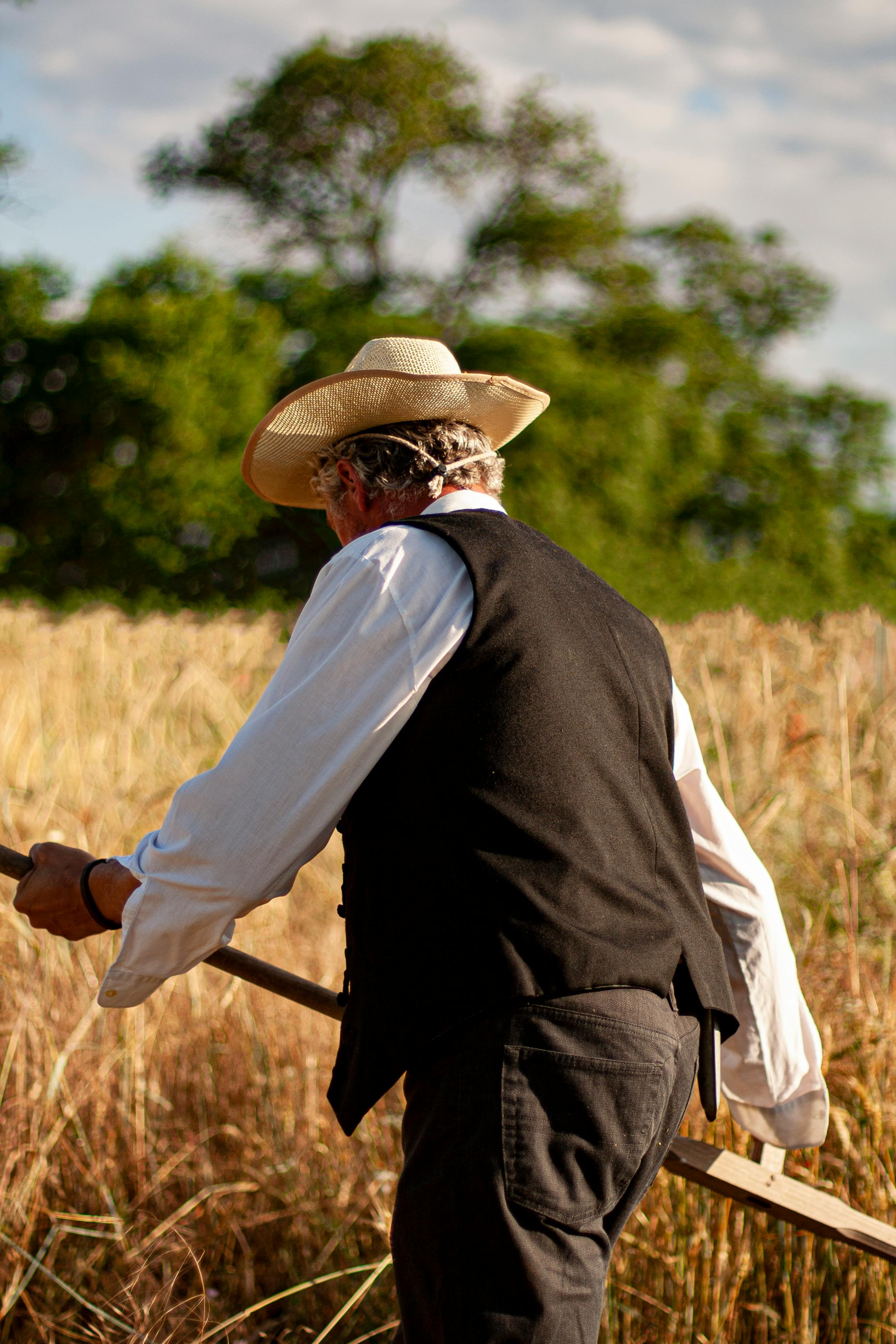 Back View of a Man Walking on a Rice Field · Free Stock Photo