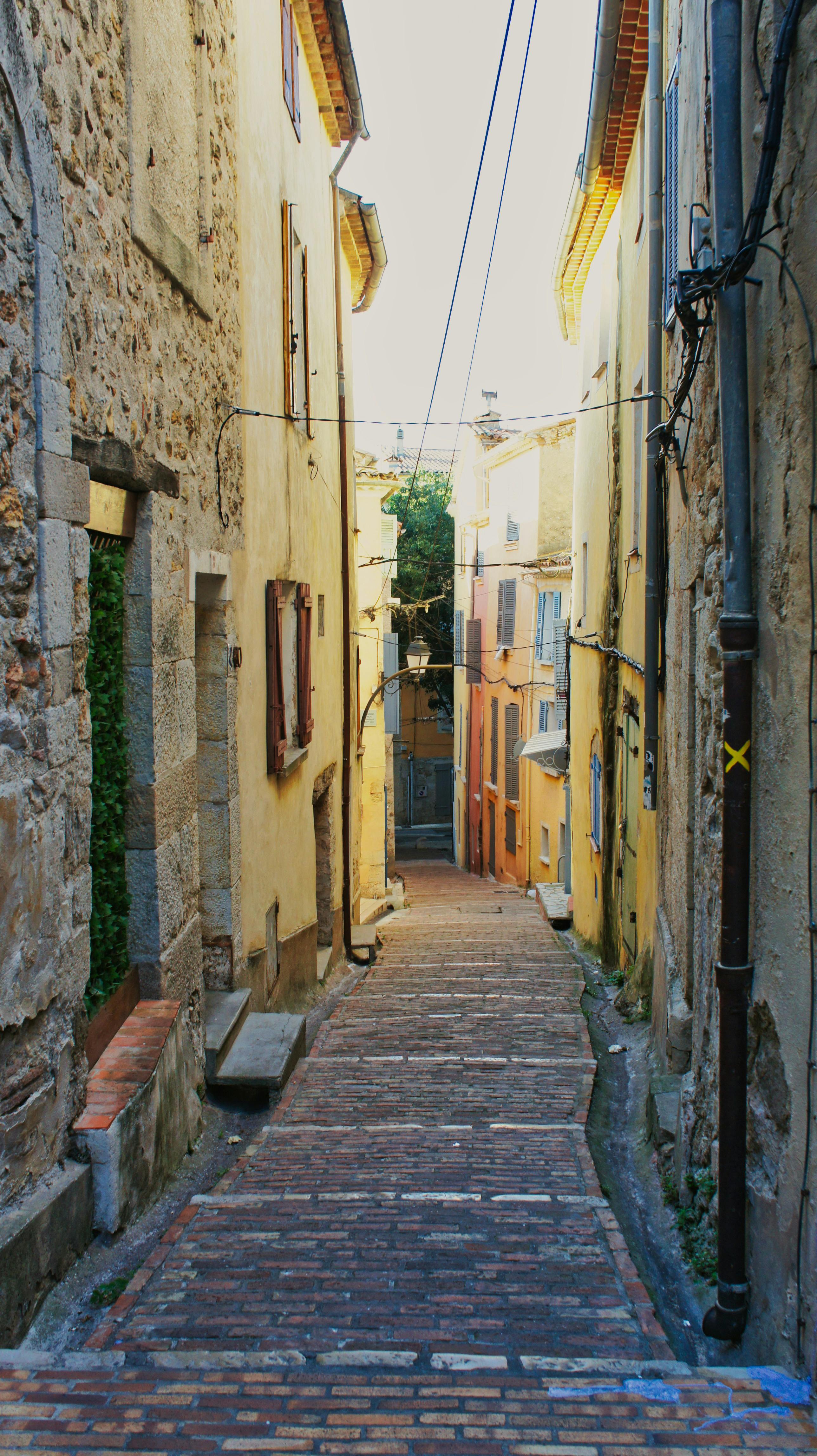 Empty Nest Photos, Download The BEST Free Empty Nest Stock Photos & HD ...