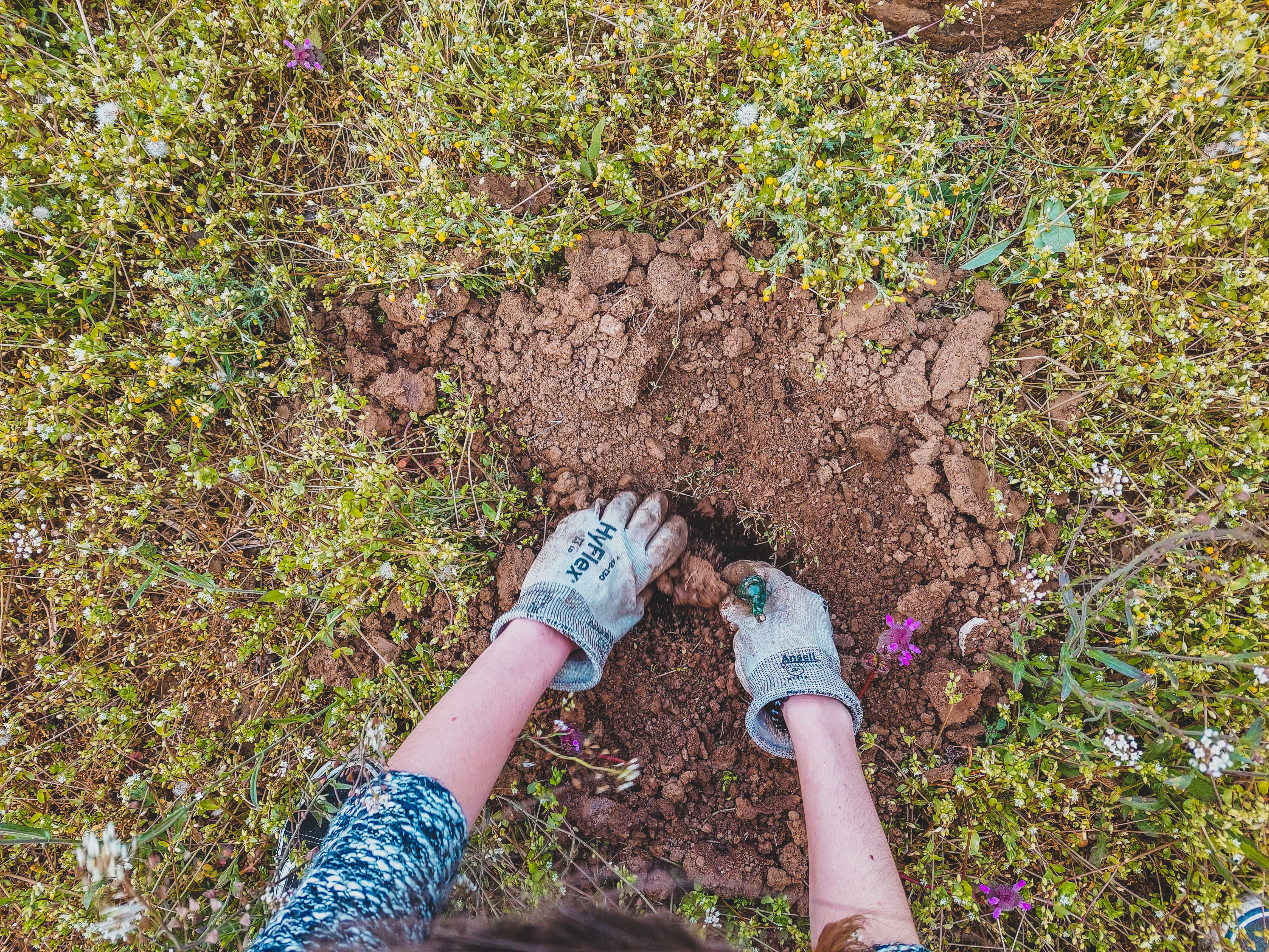 Hands in Gloves Working with Soil on Ground · Free Stock Photo