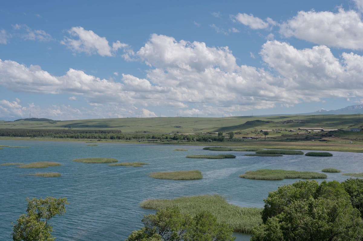 Teal Fields Photos, Download The BEST Free Teal Fields Stock Photos ...