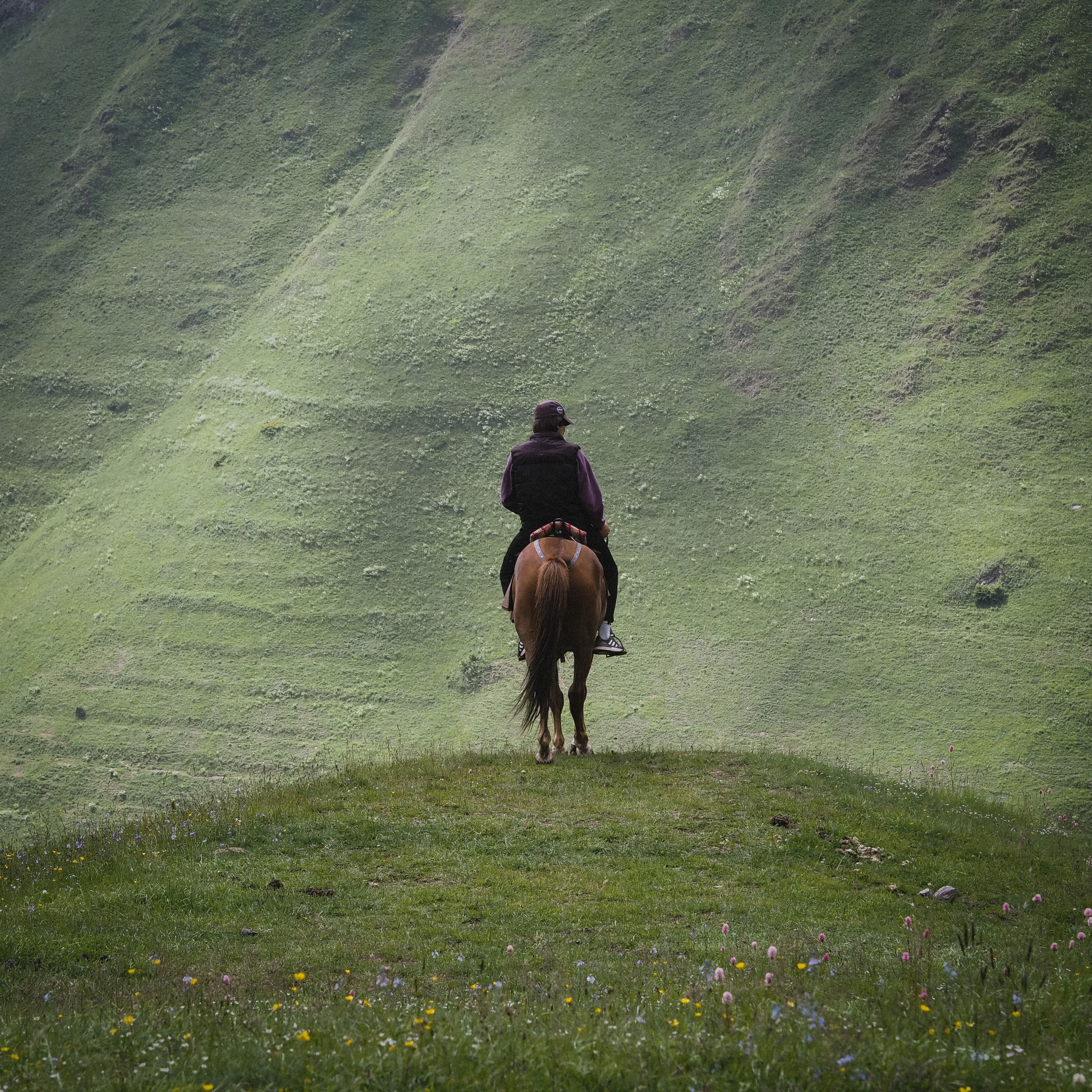 Man Riding a Horse in a Valley · Free Stock Photo