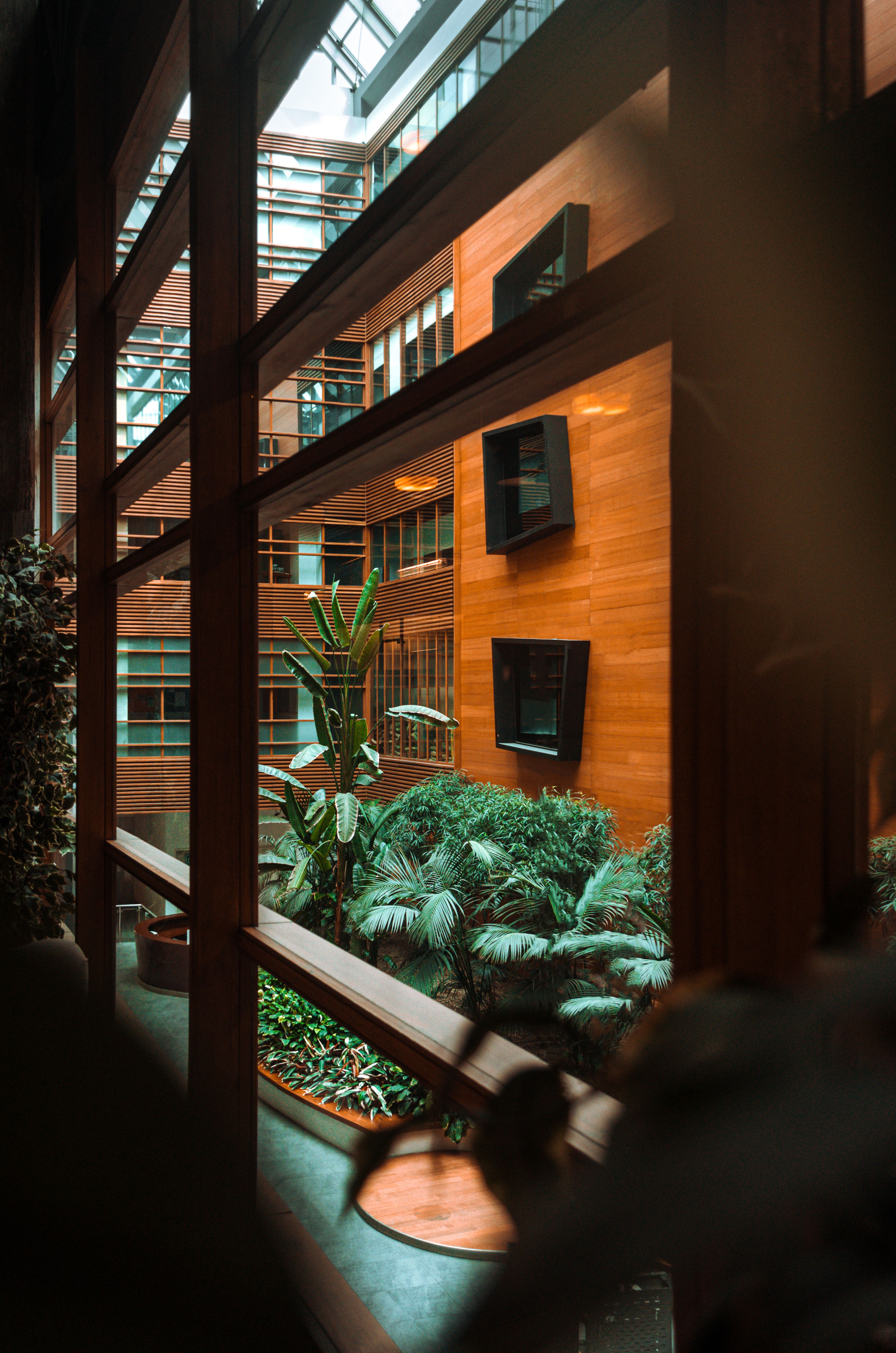 Plants in a Modern Building · Free Stock Photo