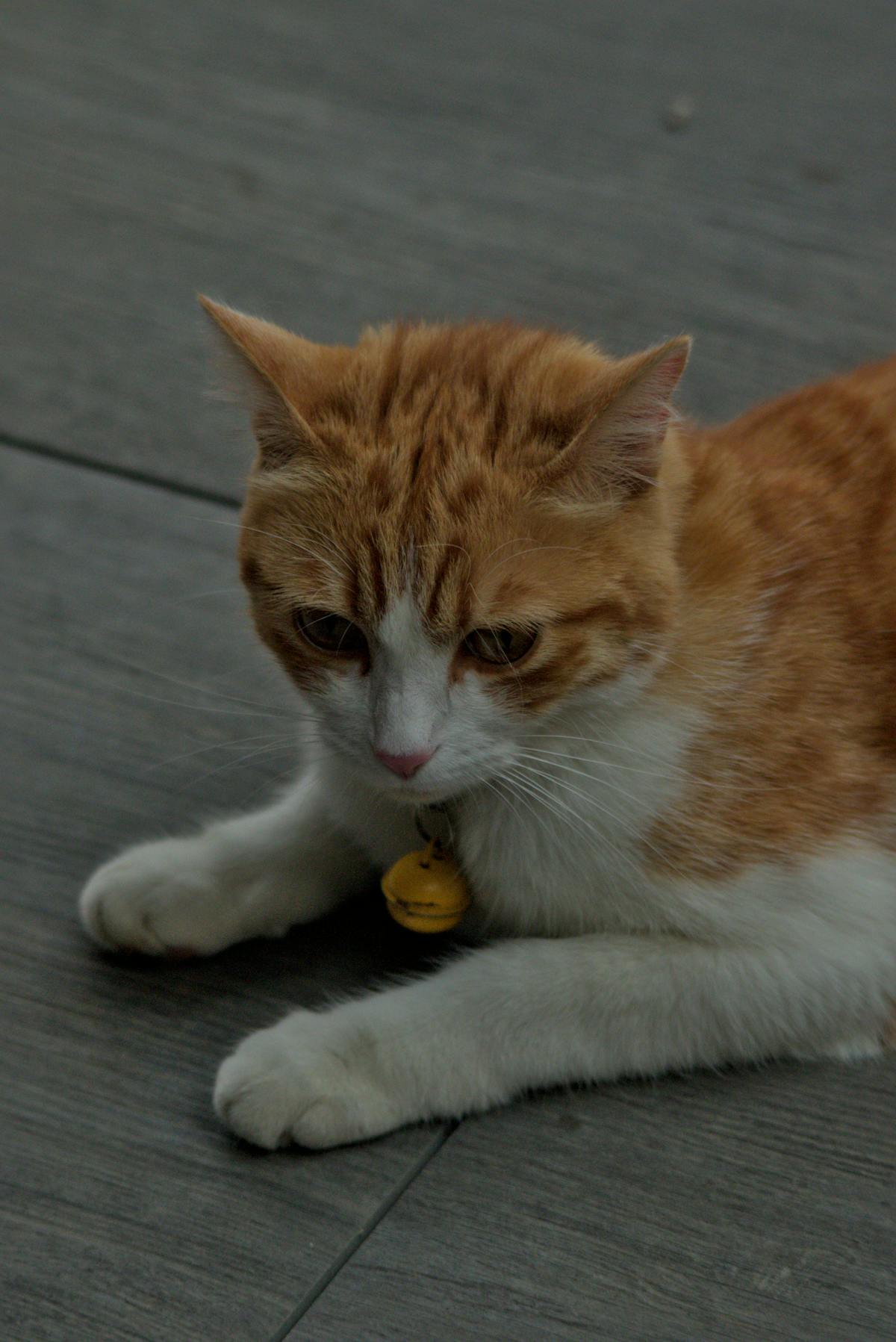 Lie On The Ground Photos, Download The BEST Free Lie On The Ground ...