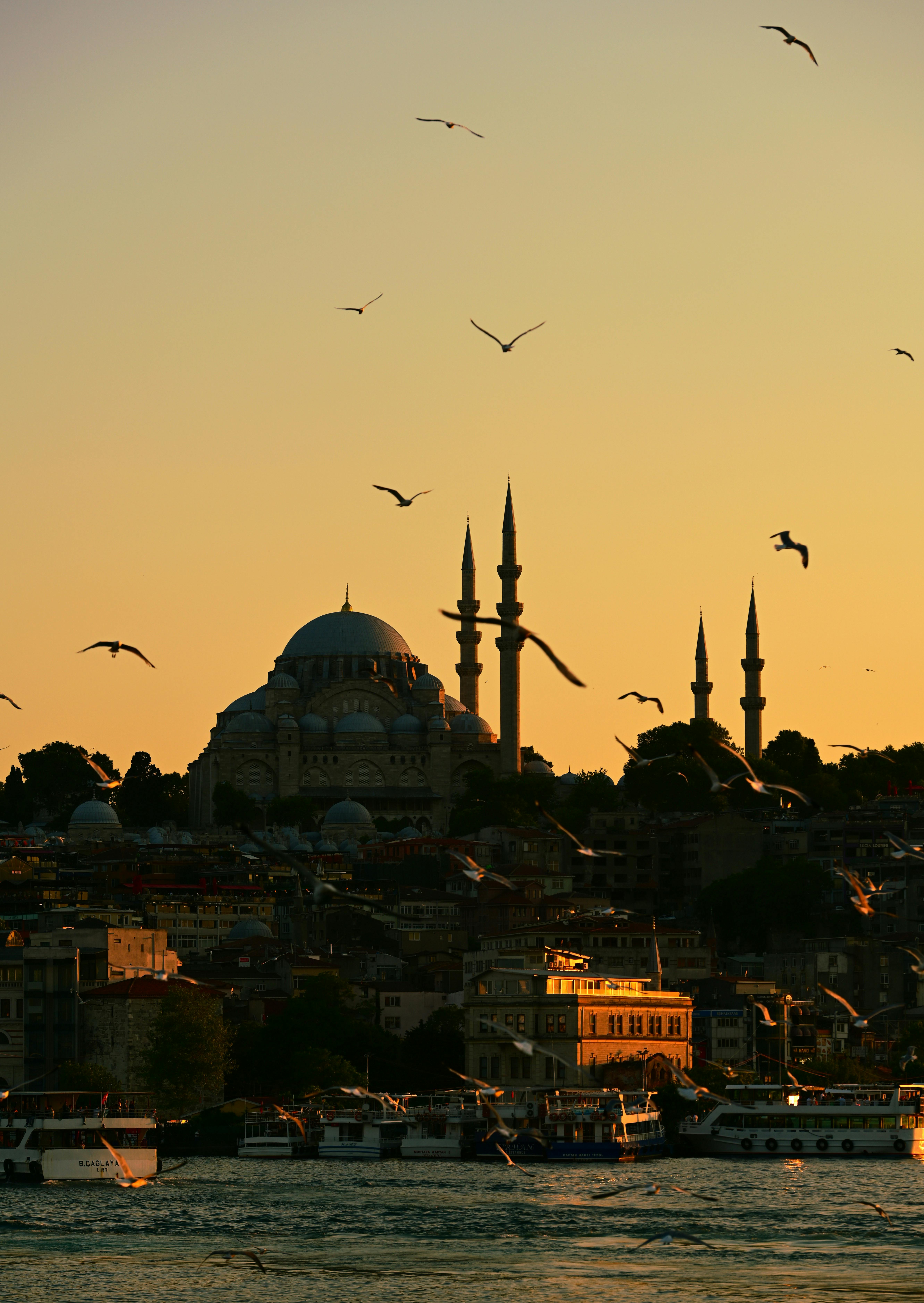 Istanbul Cityscape From Across the Bosfor Strait · Free Stock Photo