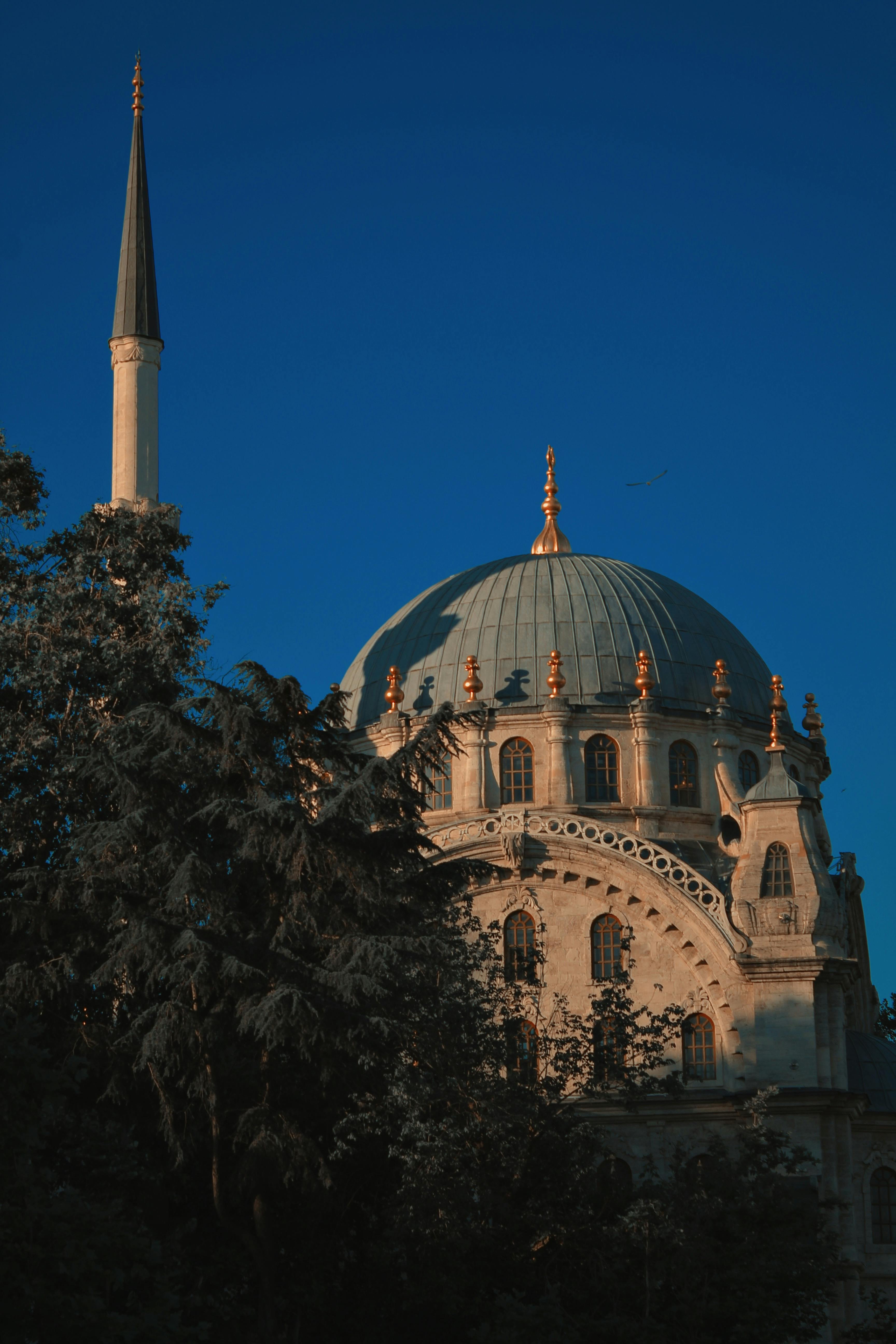 Brown Mosque Beside Tower Near Body of Water · Free Stock Photo