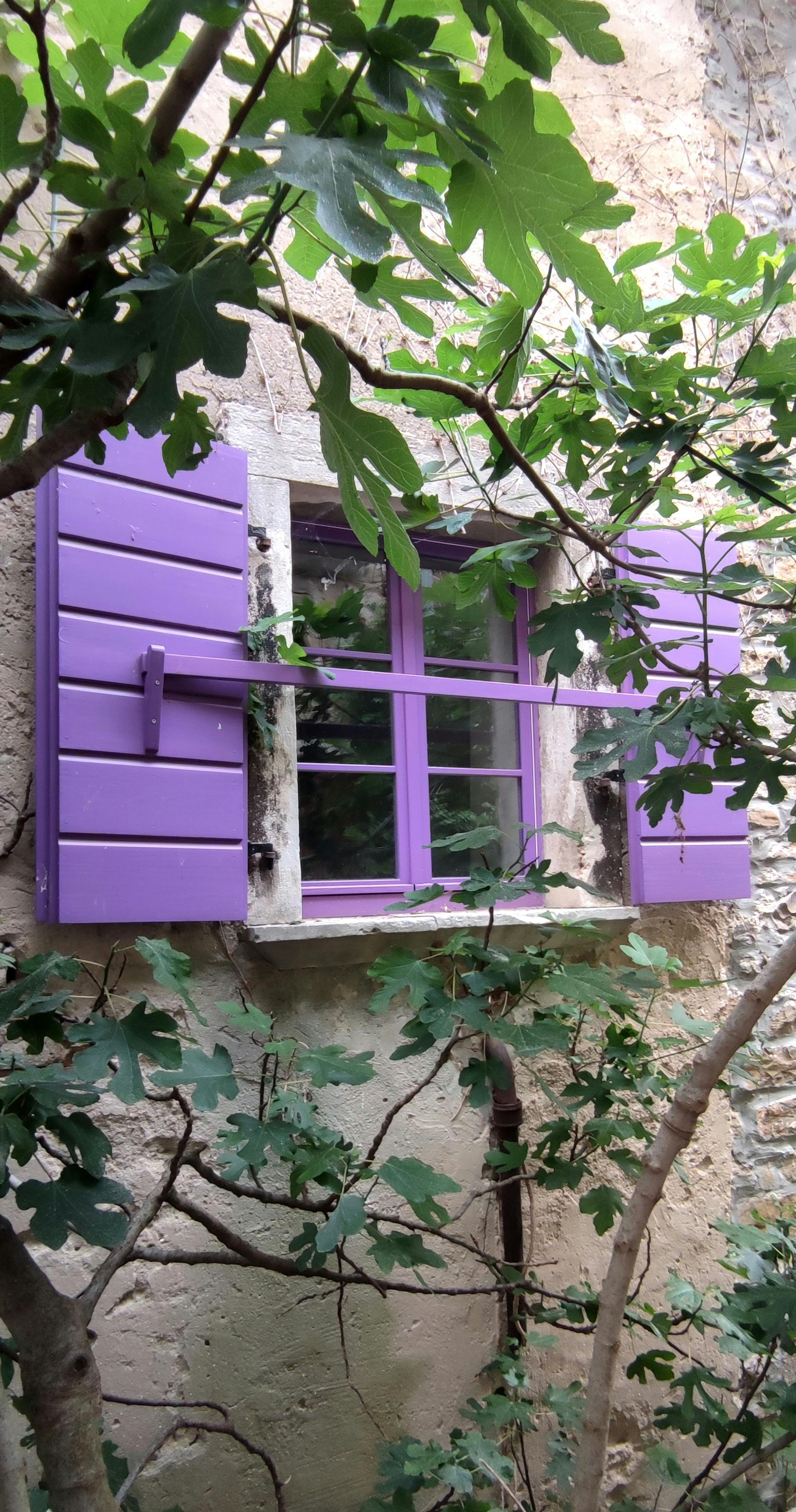 ana simona bevecz - Photography