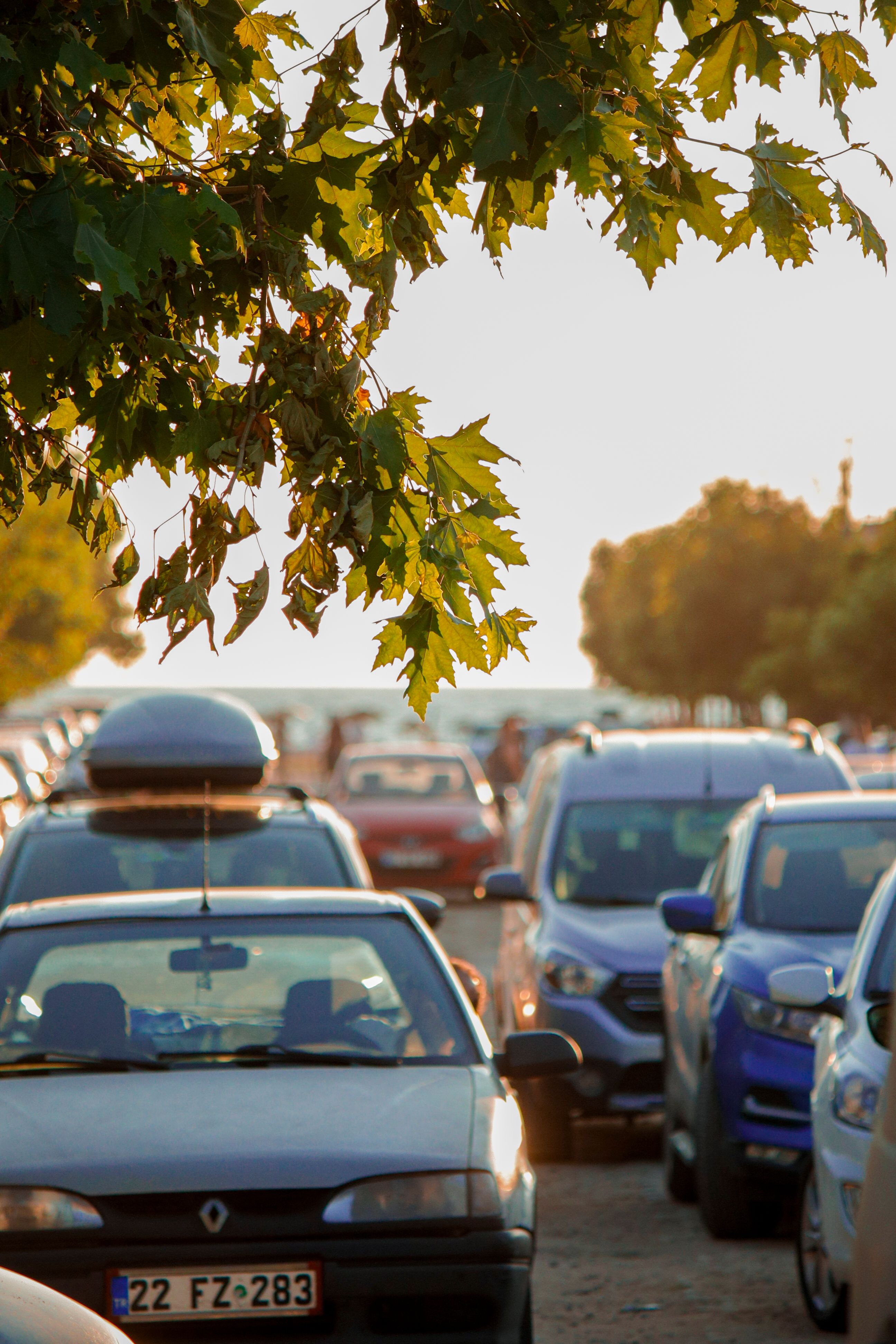 Cars under Tree Leaves · Free Stock Photo