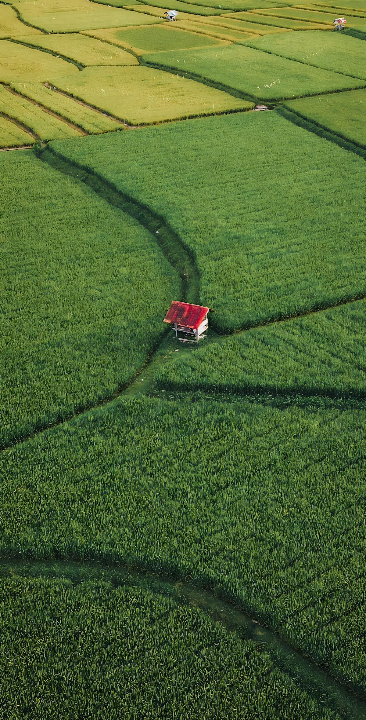 30.000+ Foto Free No Copyright Terbaik · Unduh Gratis 100% · Foto Stok ...