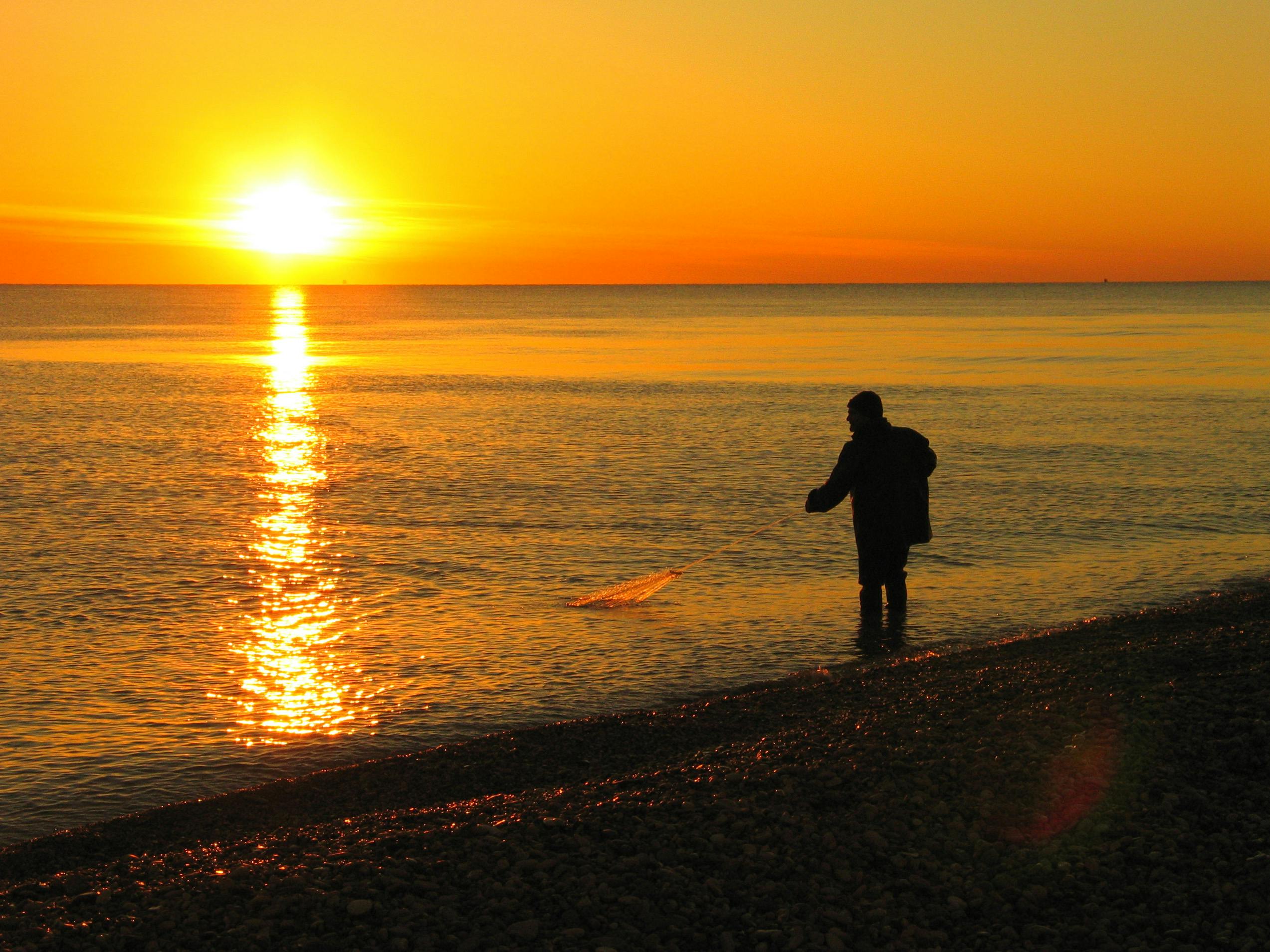 Kuli Photos, Download The BEST Free Kuli Stock Photos & HD Images