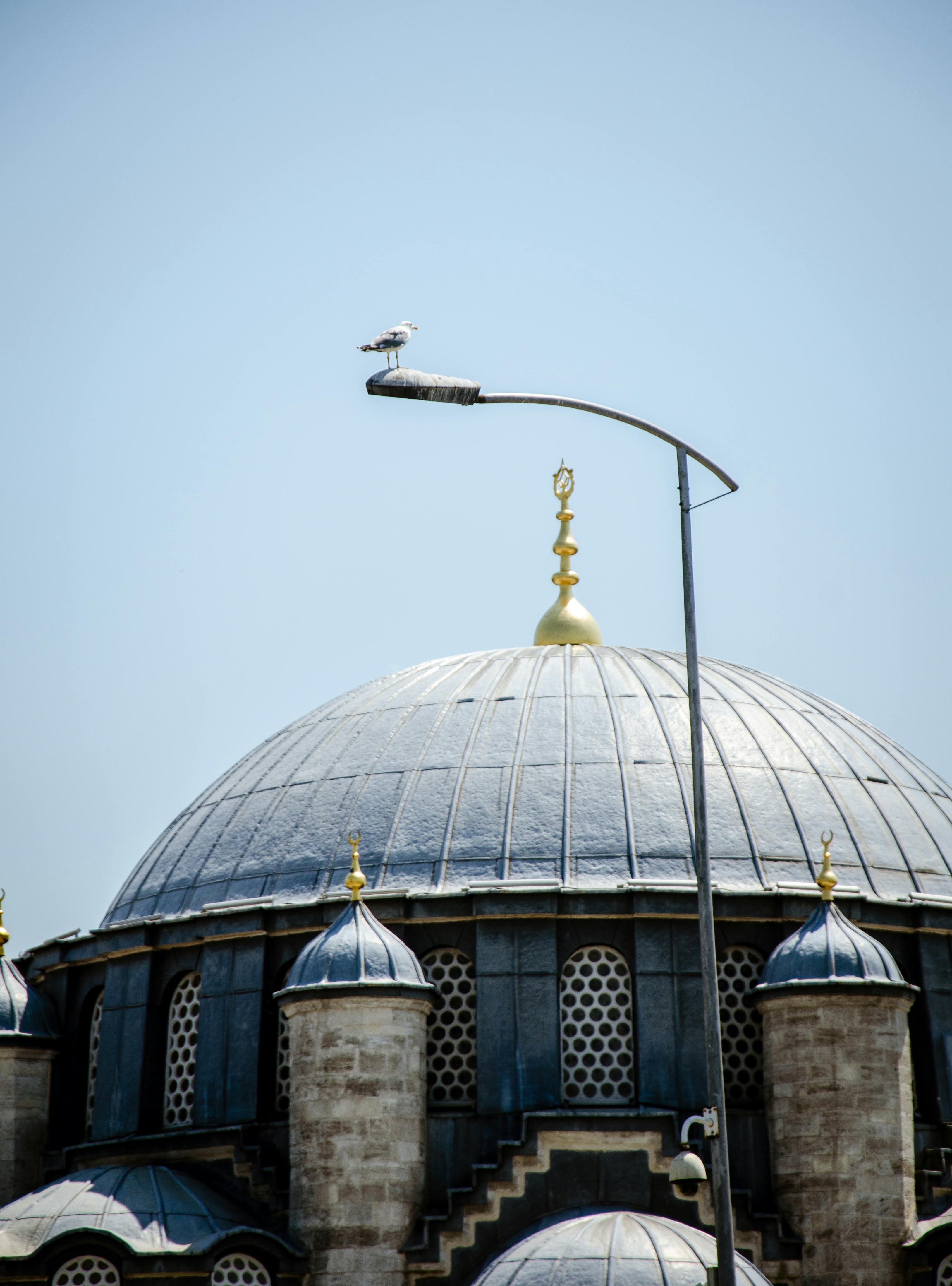Wall and Dome of Mosque · Free Stock Photo