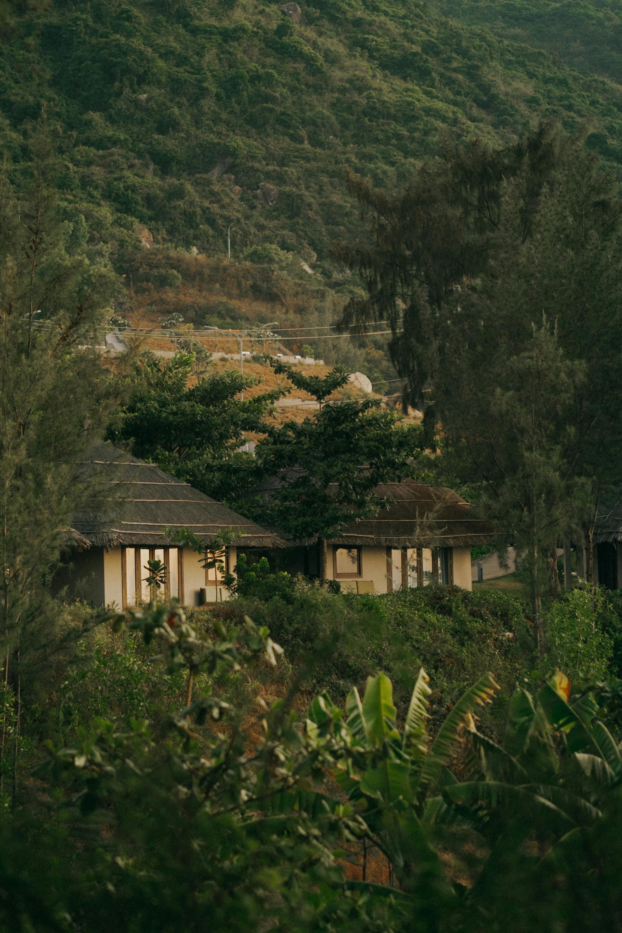 Farm Houses in a Valley · Free Stock Photo