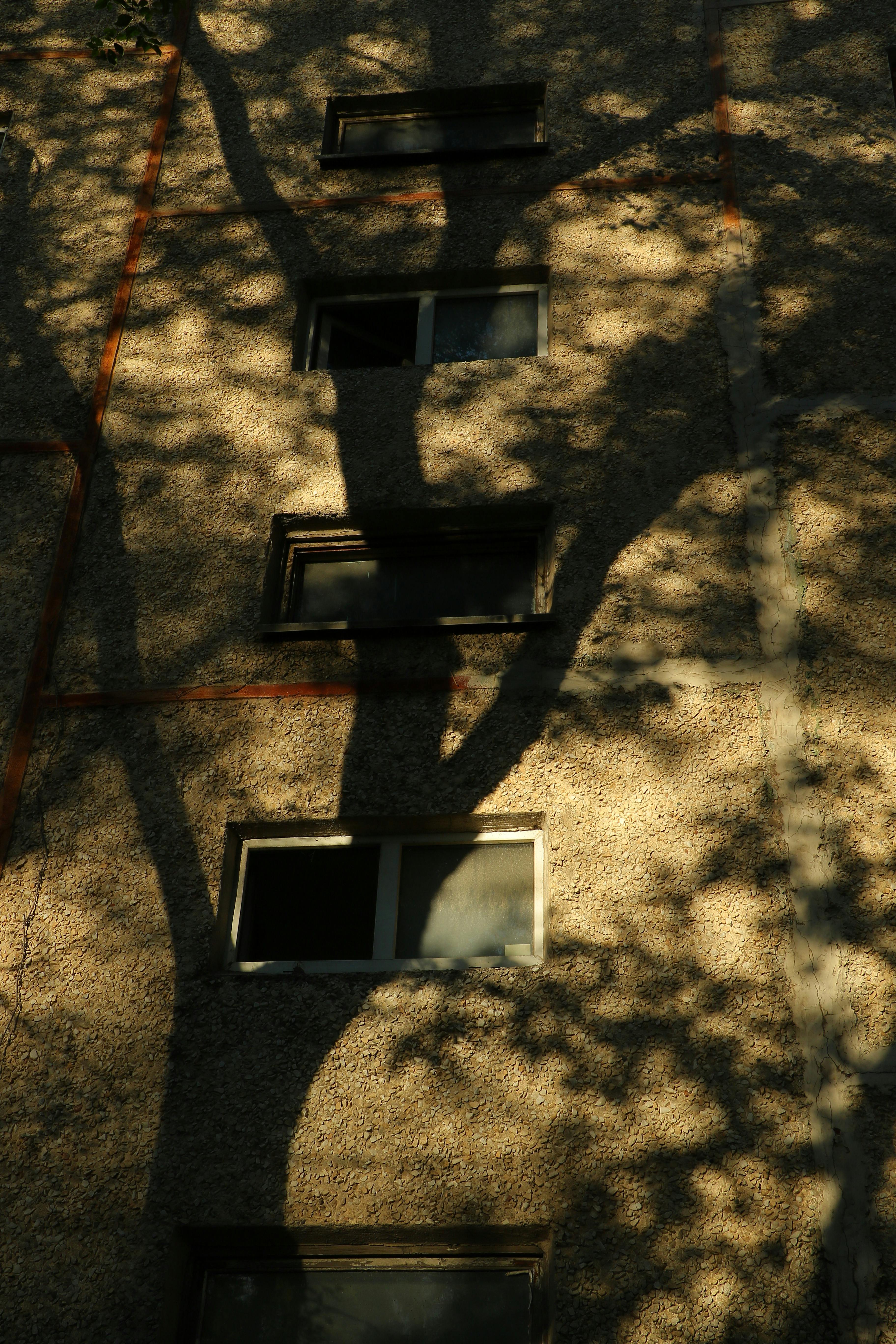 Tree Shadows on Sunlit Wall of Building with Apartments · Free Stock Photo