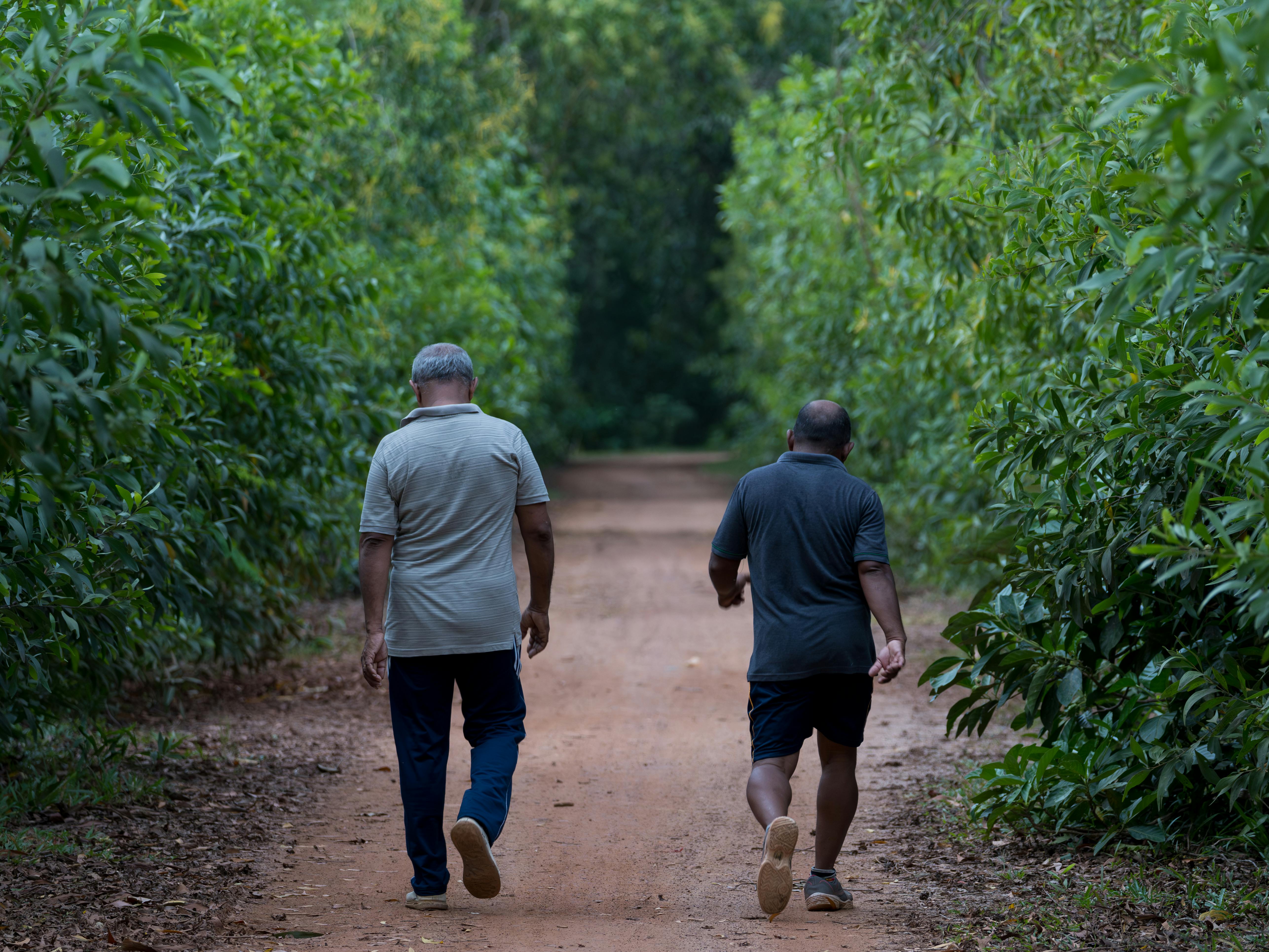 Back View of Two Men Walking in a Park · Free Stock Photo