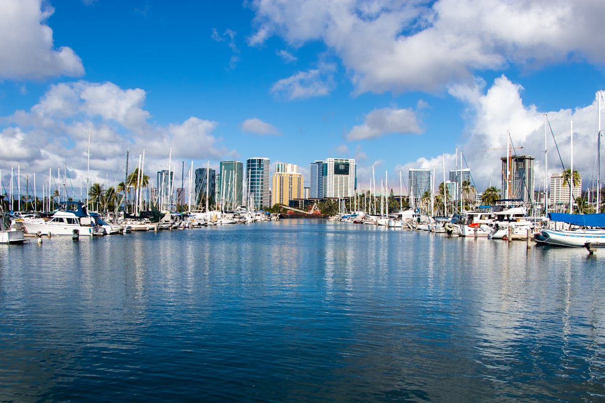 Ala Photos, Download The BEST Free Ala Stock Photos & HD Images