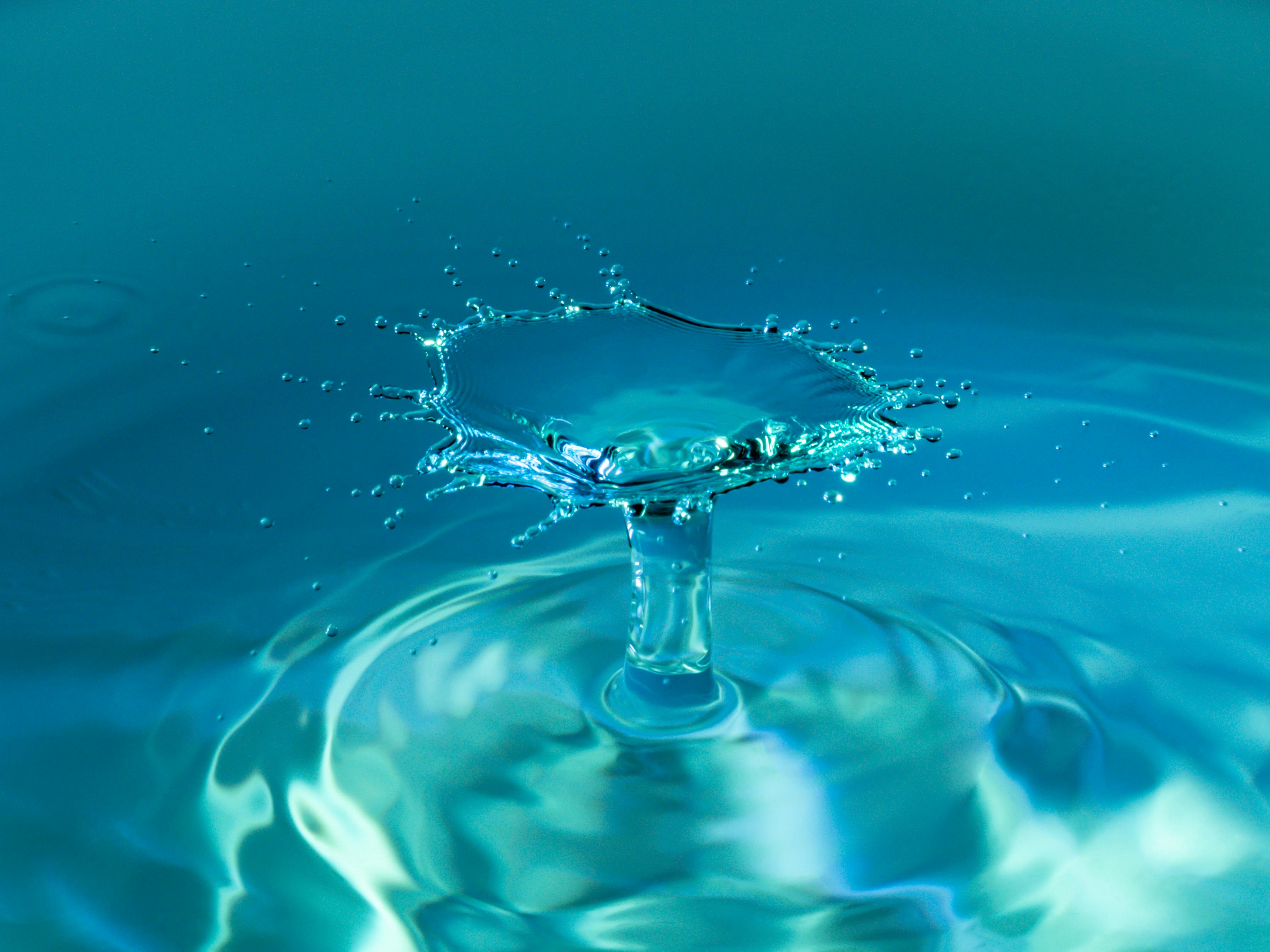 Splash of Water · Free Stock Photo