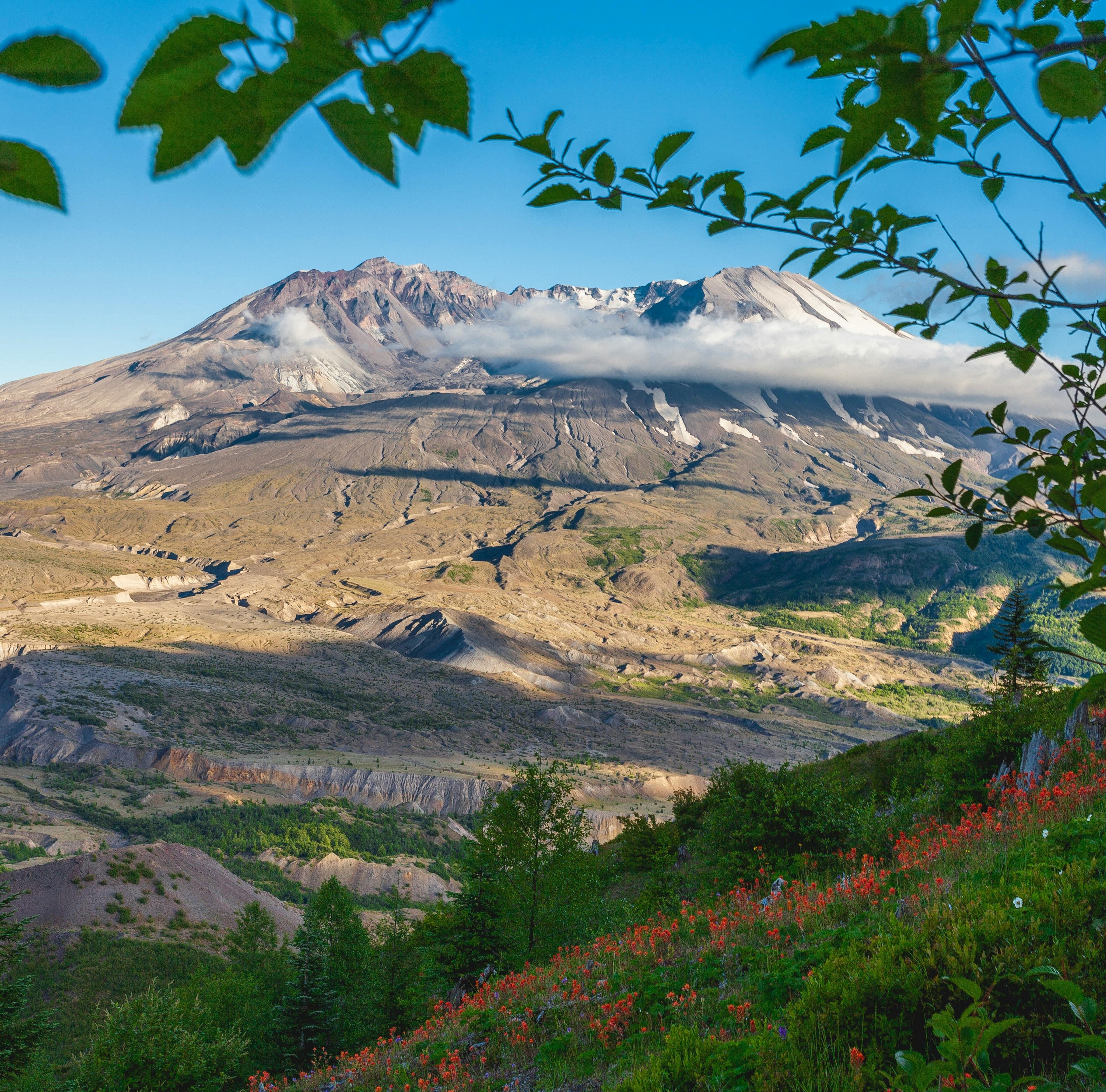 Free stock photo of adventure, explore, forest