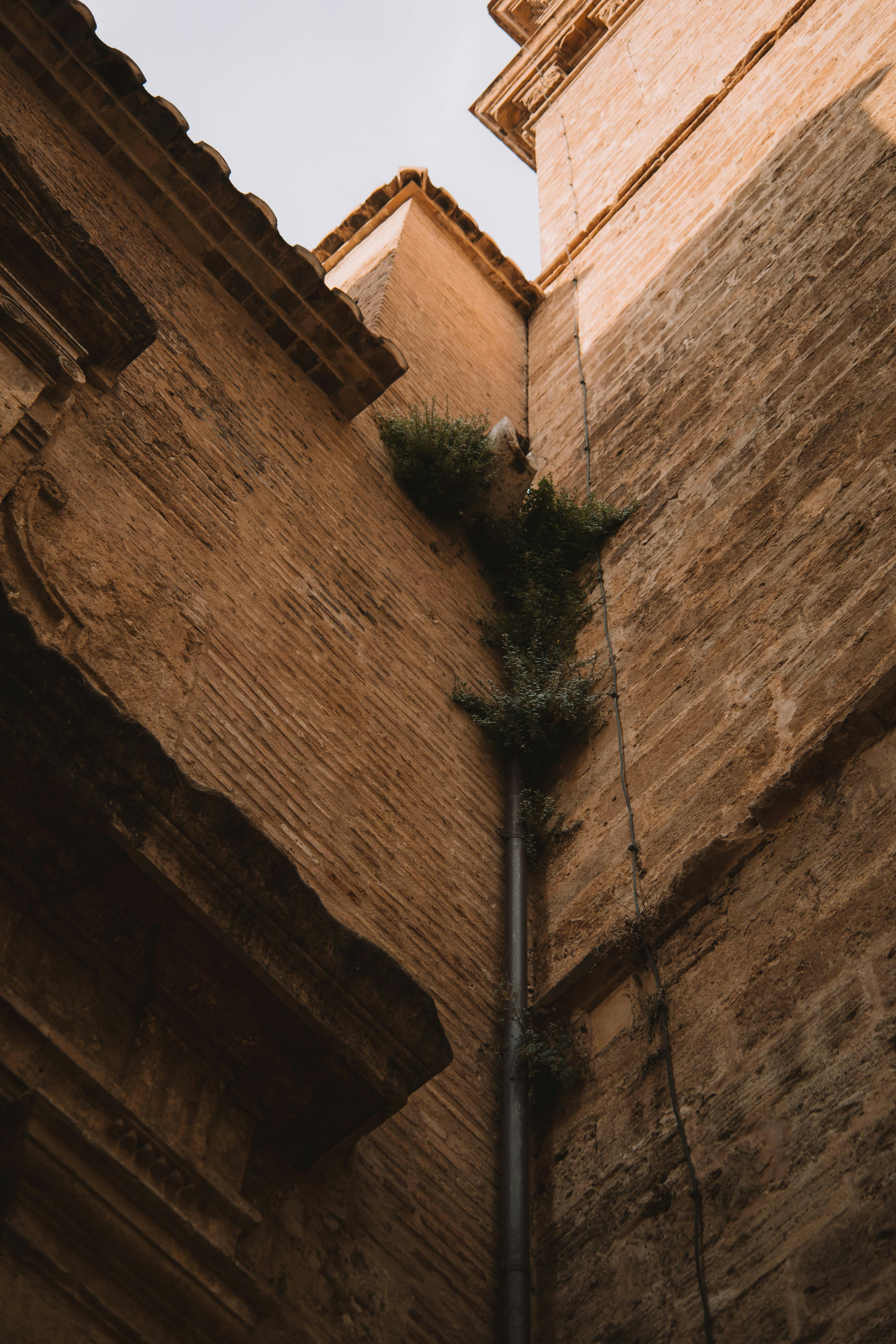 Stone Building Corner · Free Stock Photo