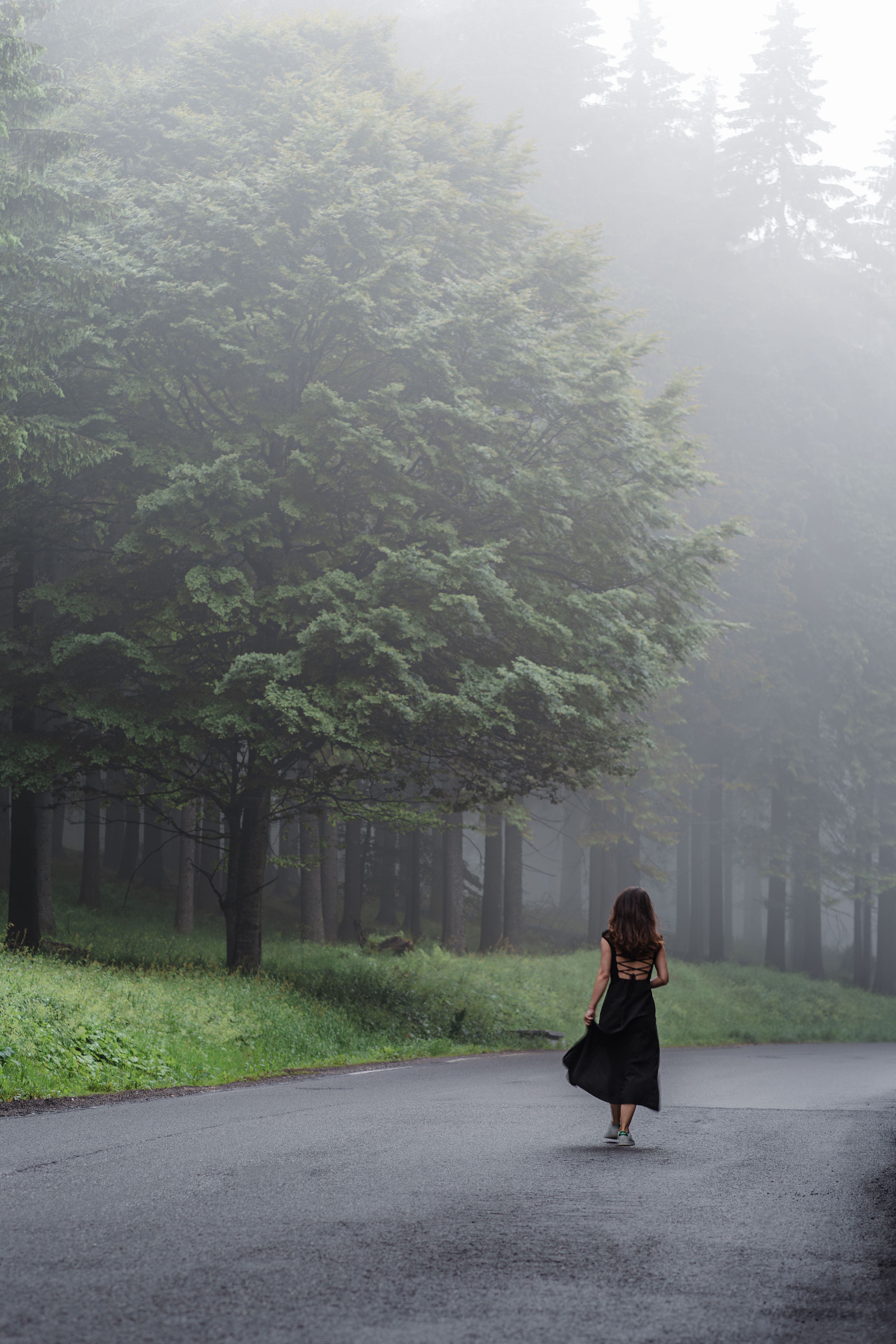 Intrigue Photos, Download The BEST Free Intrigue Stock Photos & HD Images