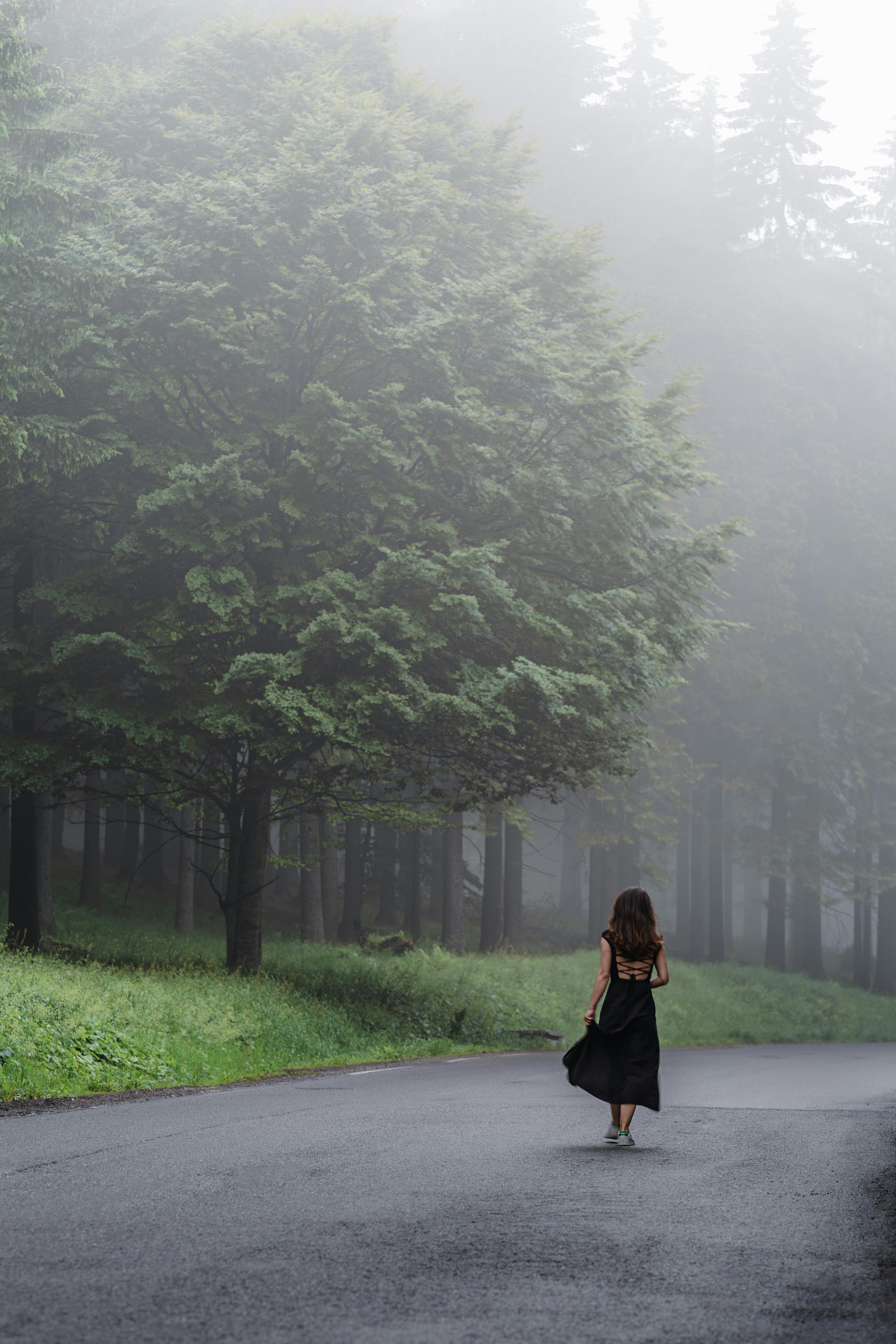 Misty path · Free Stock Photo