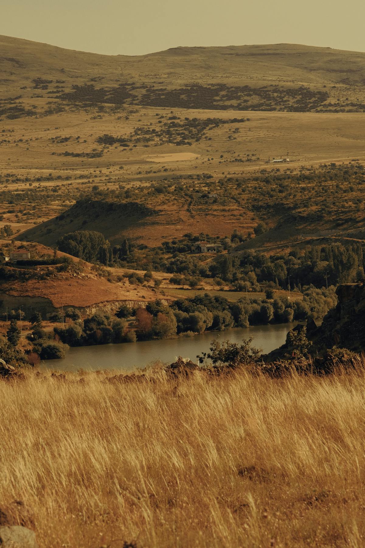 Freepik Photos, Download The BEST Free Freepik Stock Photos & HD Images