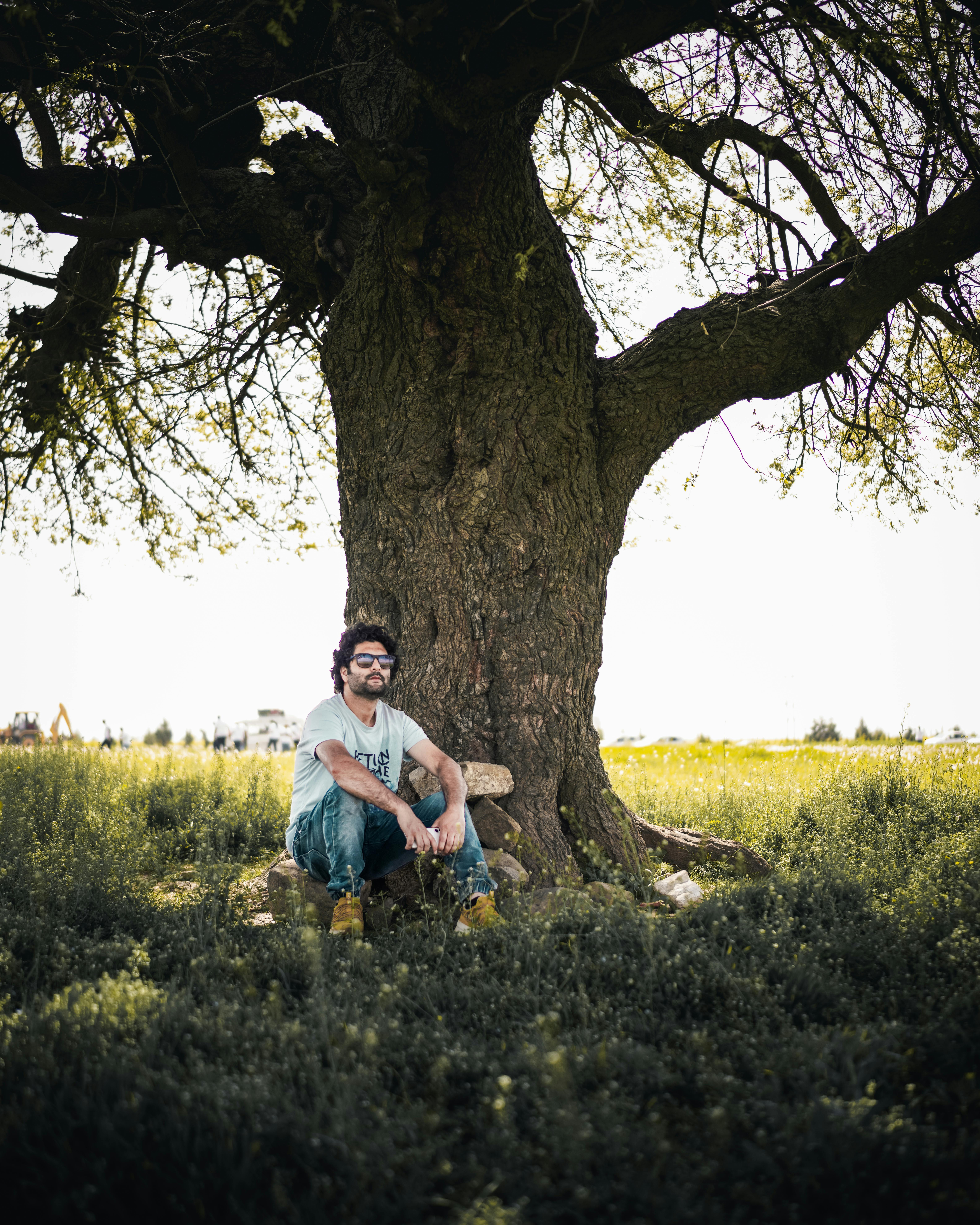 Man Sitting by Tree · Free Stock Photo