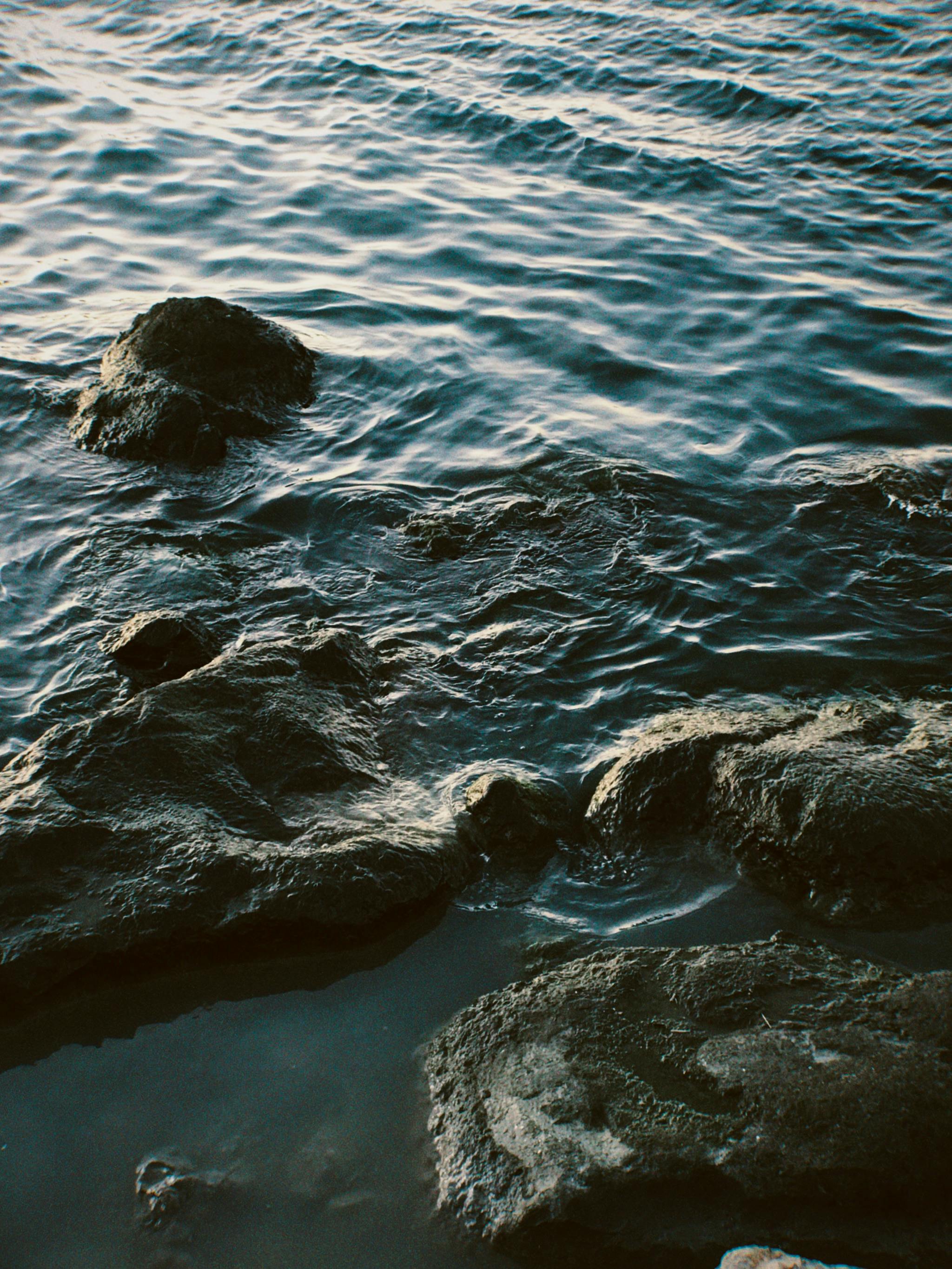 Shore Rocks Photos, Download The BEST Free Shore Rocks Stock Photos ...