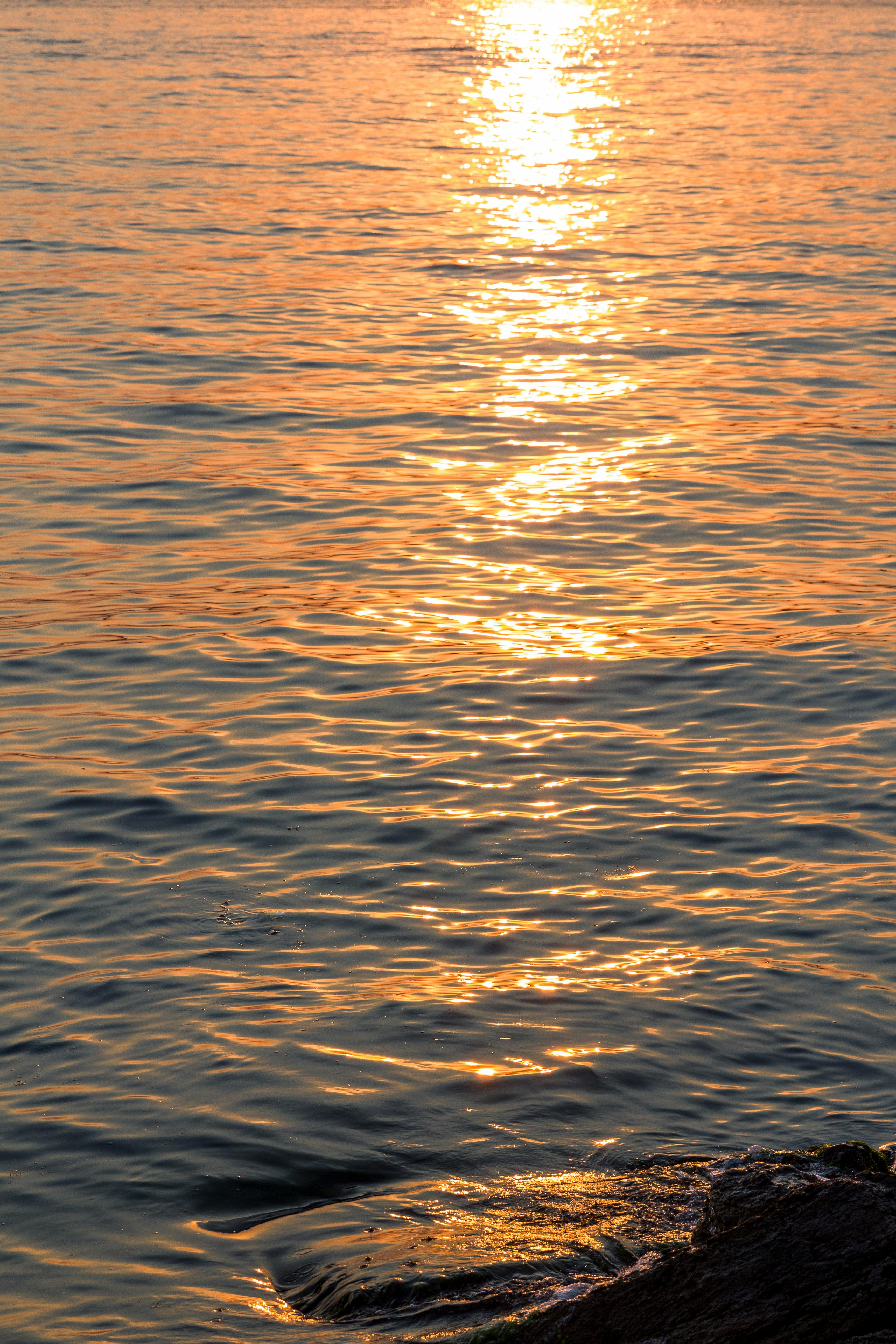 Setting Sun Reflecting in Water Surface · Free Stock Photo