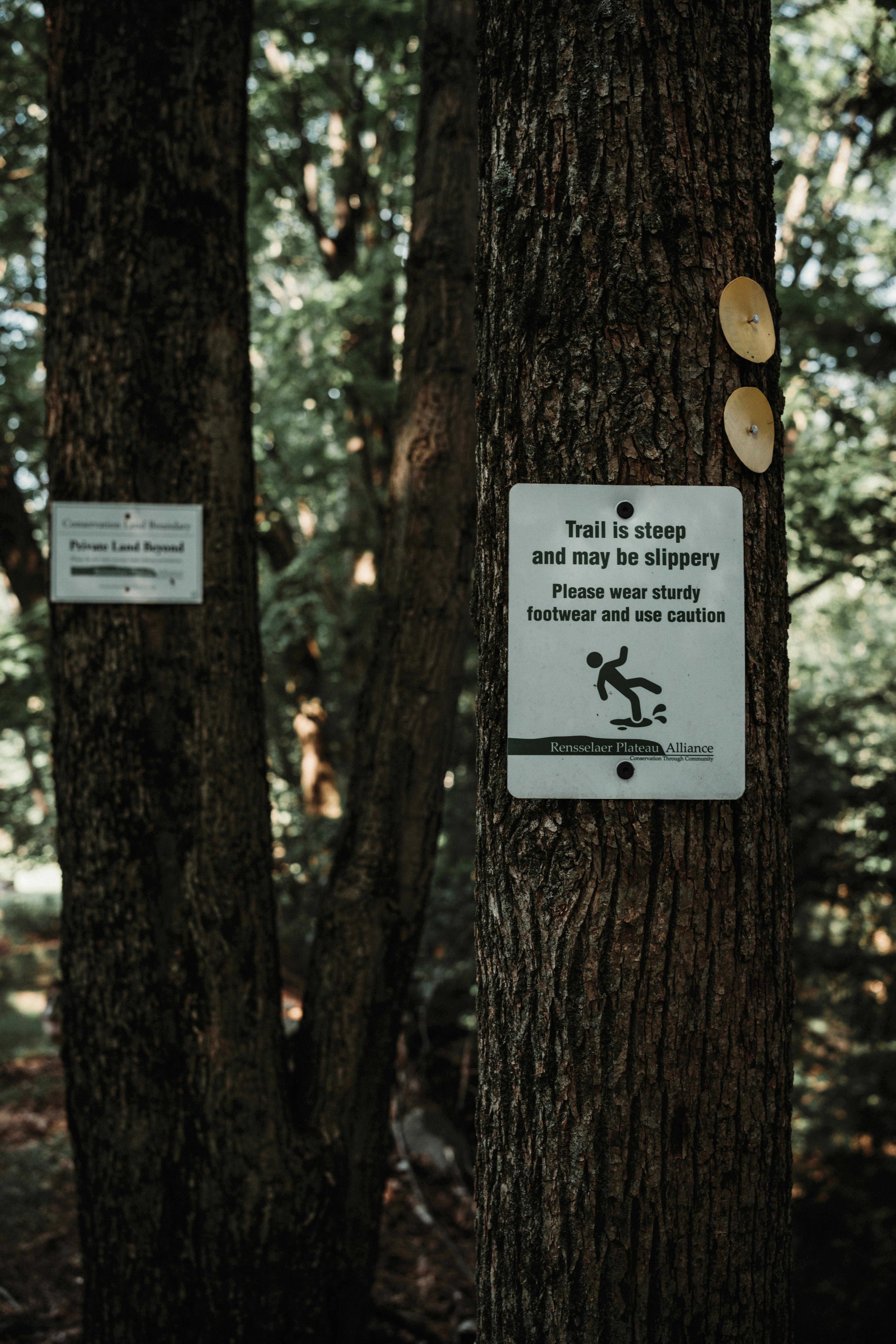 Warning Signs on Trees in Woods · Free Stock Photo