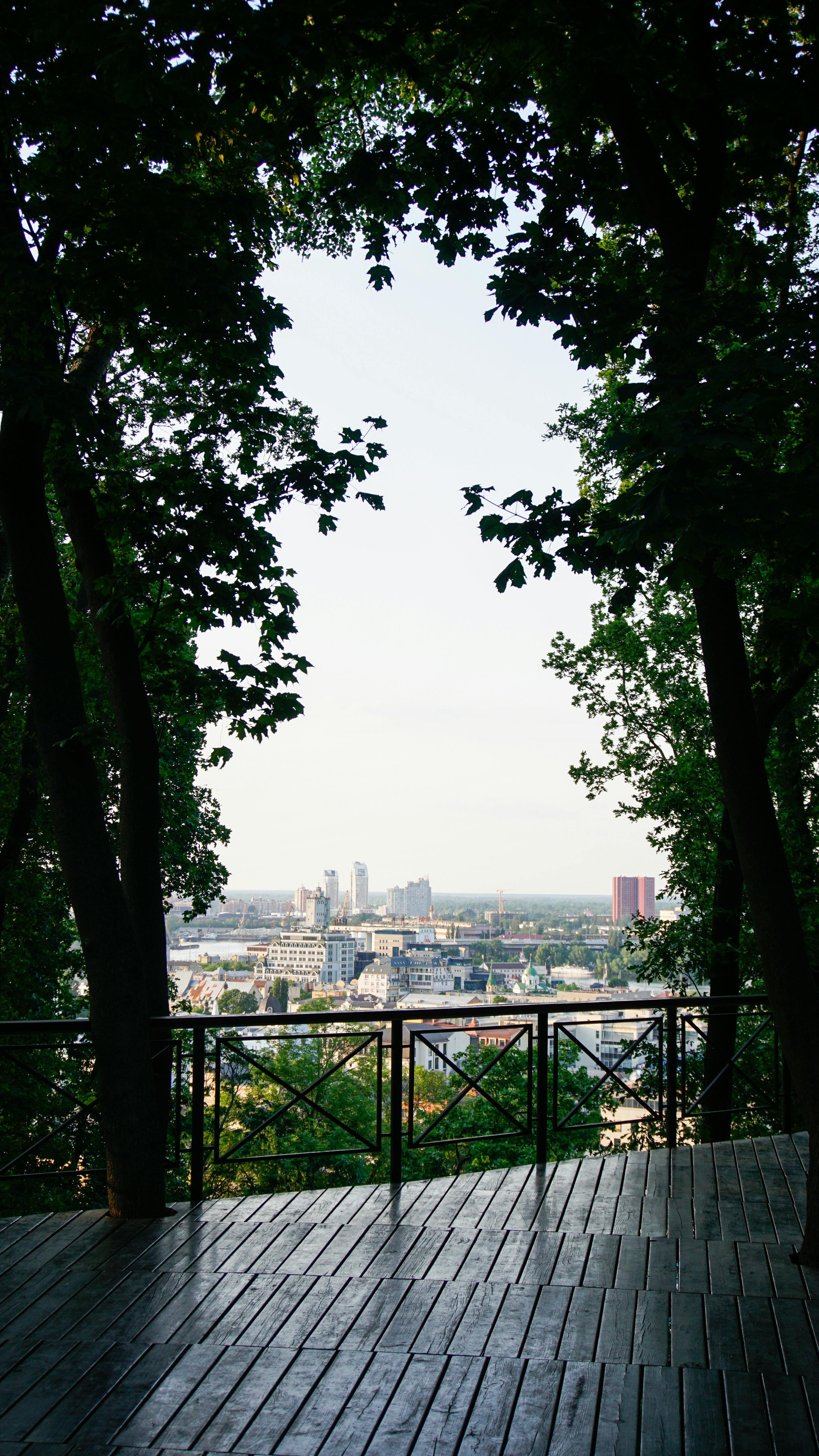 Terrace with a View of the City · Free Stock Photo