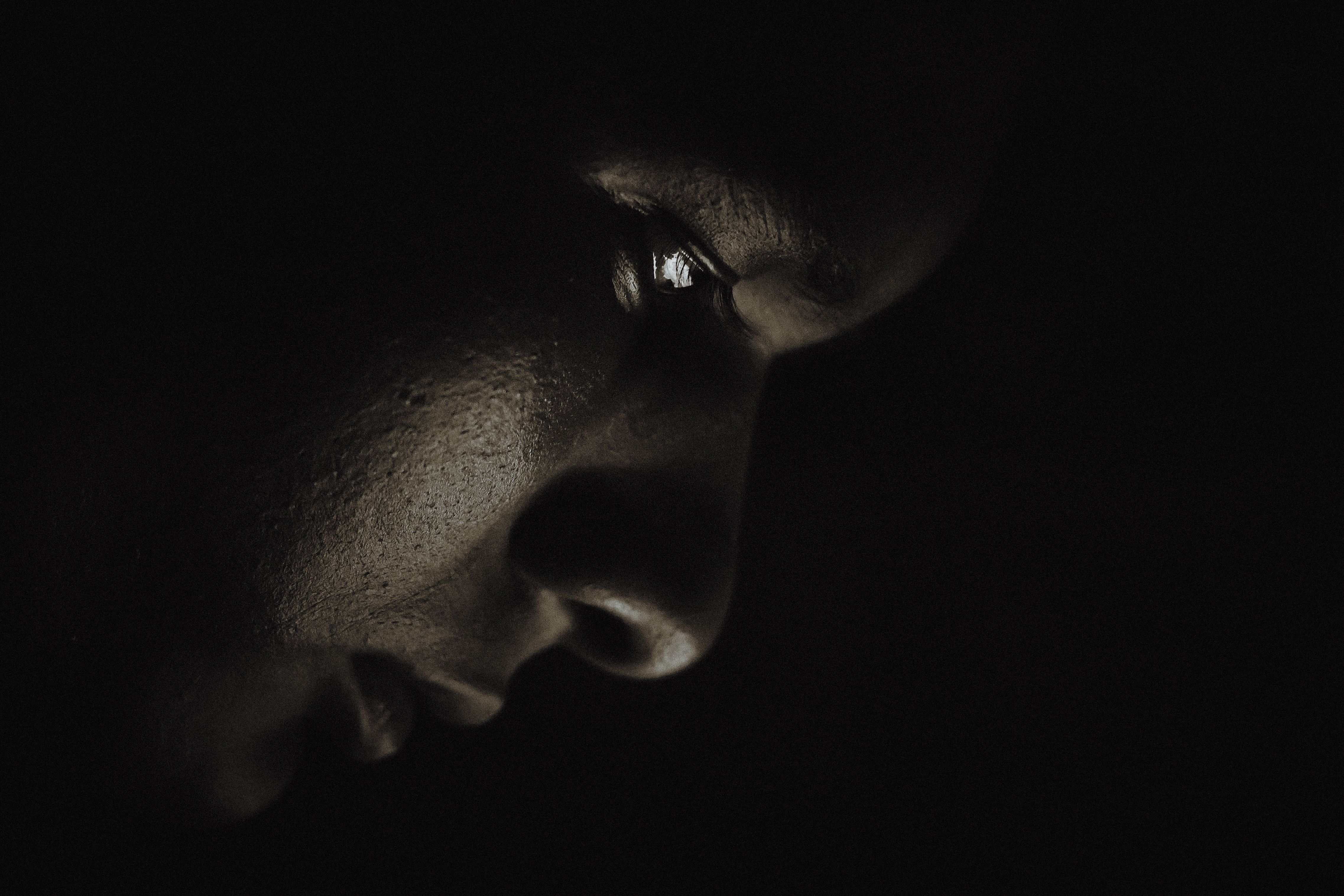 Left Human Eye · Free Stock Photo