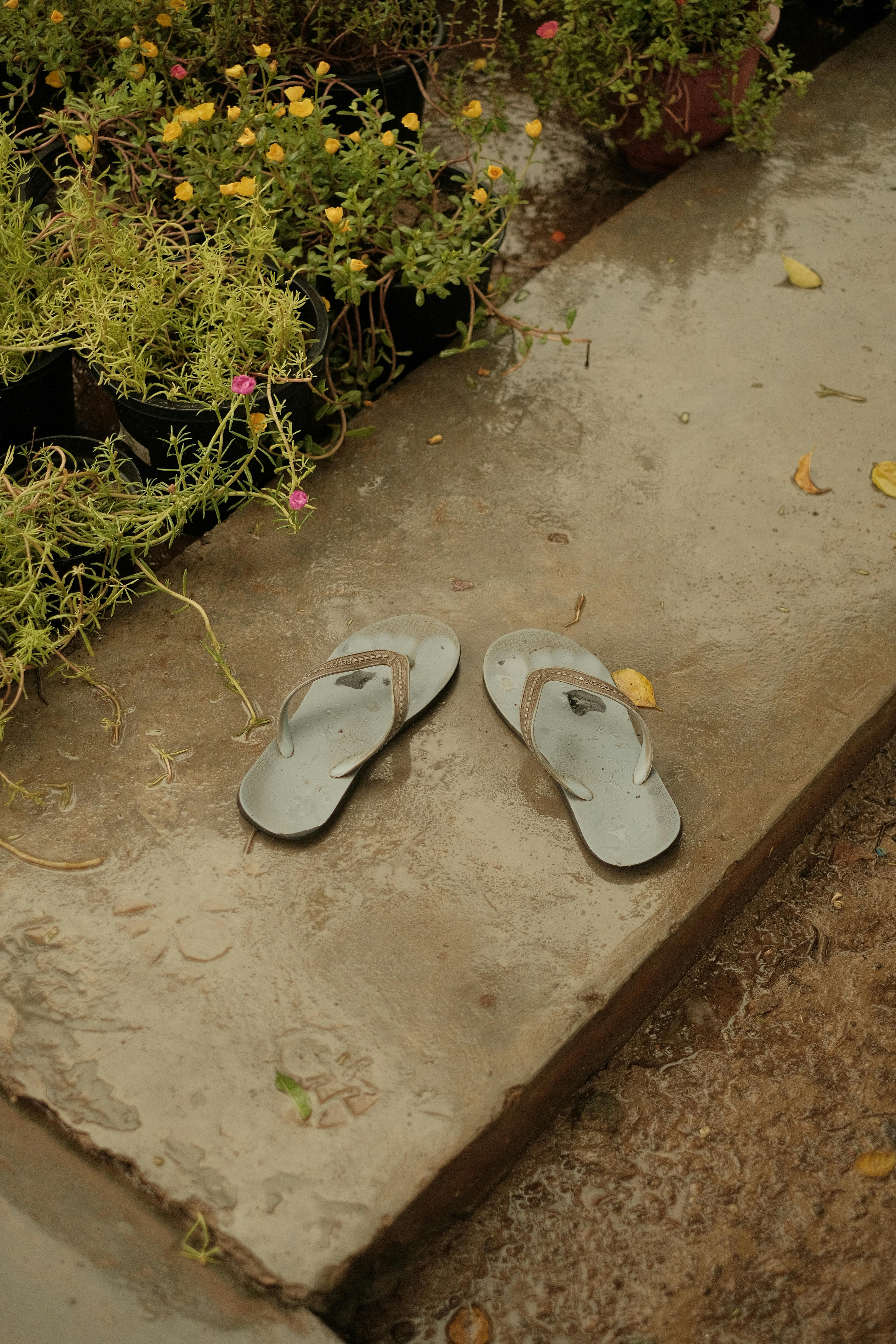 Flip Flops on Ground in Rain · Free Stock Photo