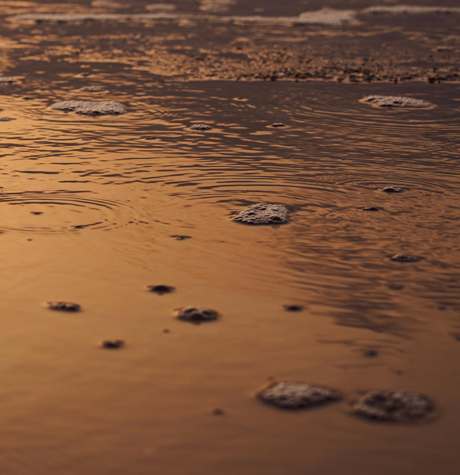 Circles In Nature Photos, Download The BEST Free Circles In Nature ...