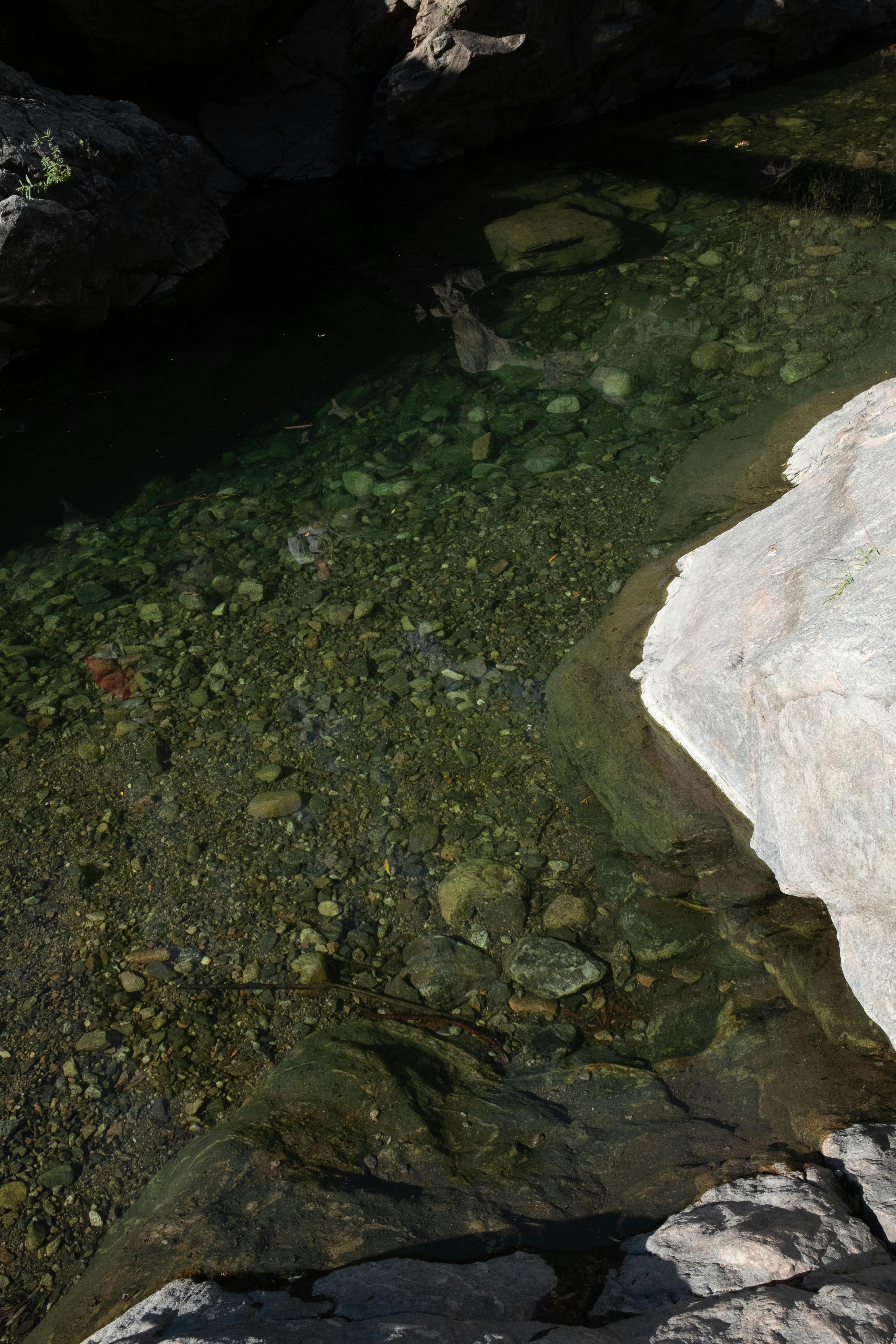 1,000+ Best Brook Photos · 100% Free Download · Pexels Stock Photos