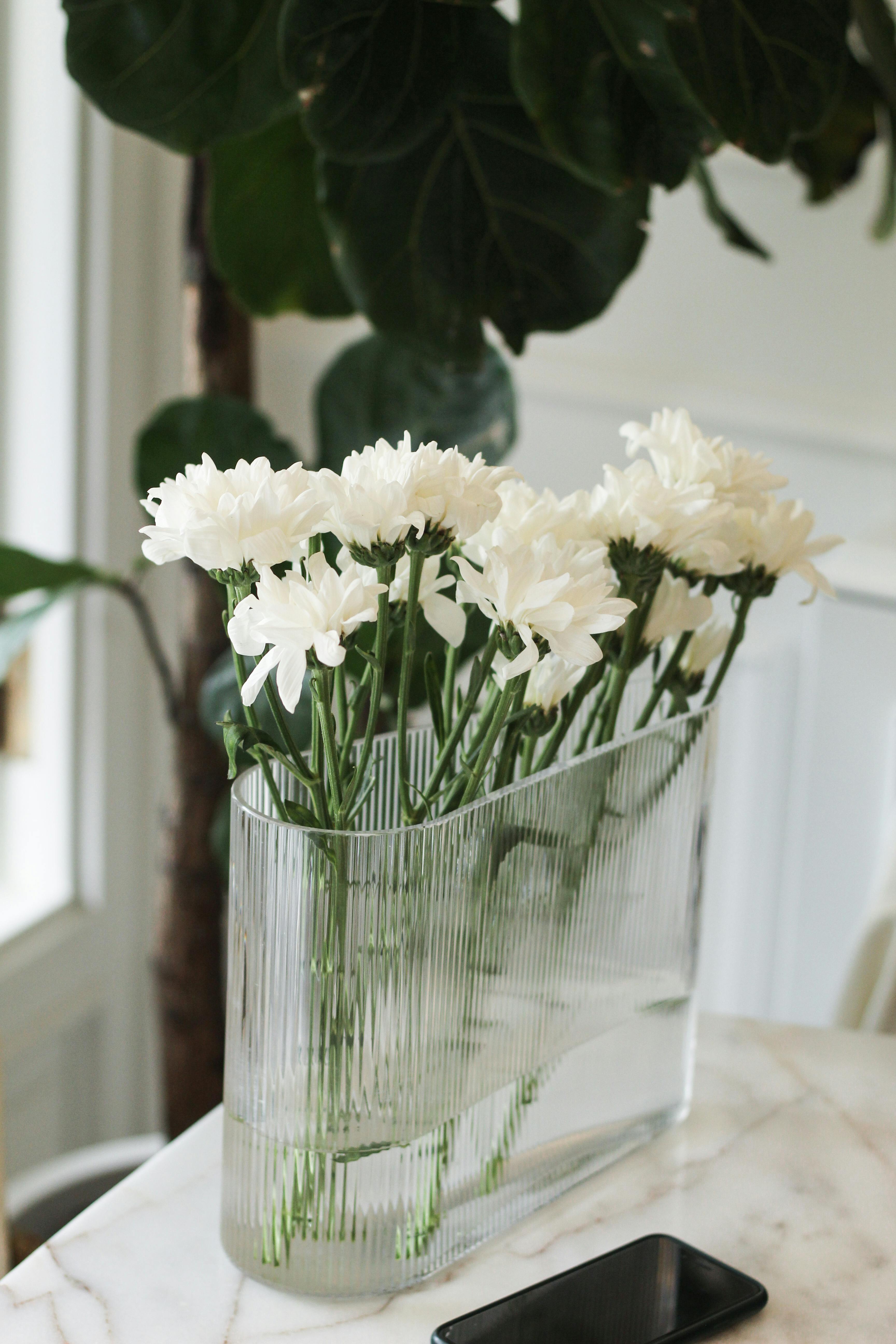 White Flowers in a Vase · Free Stock Photo