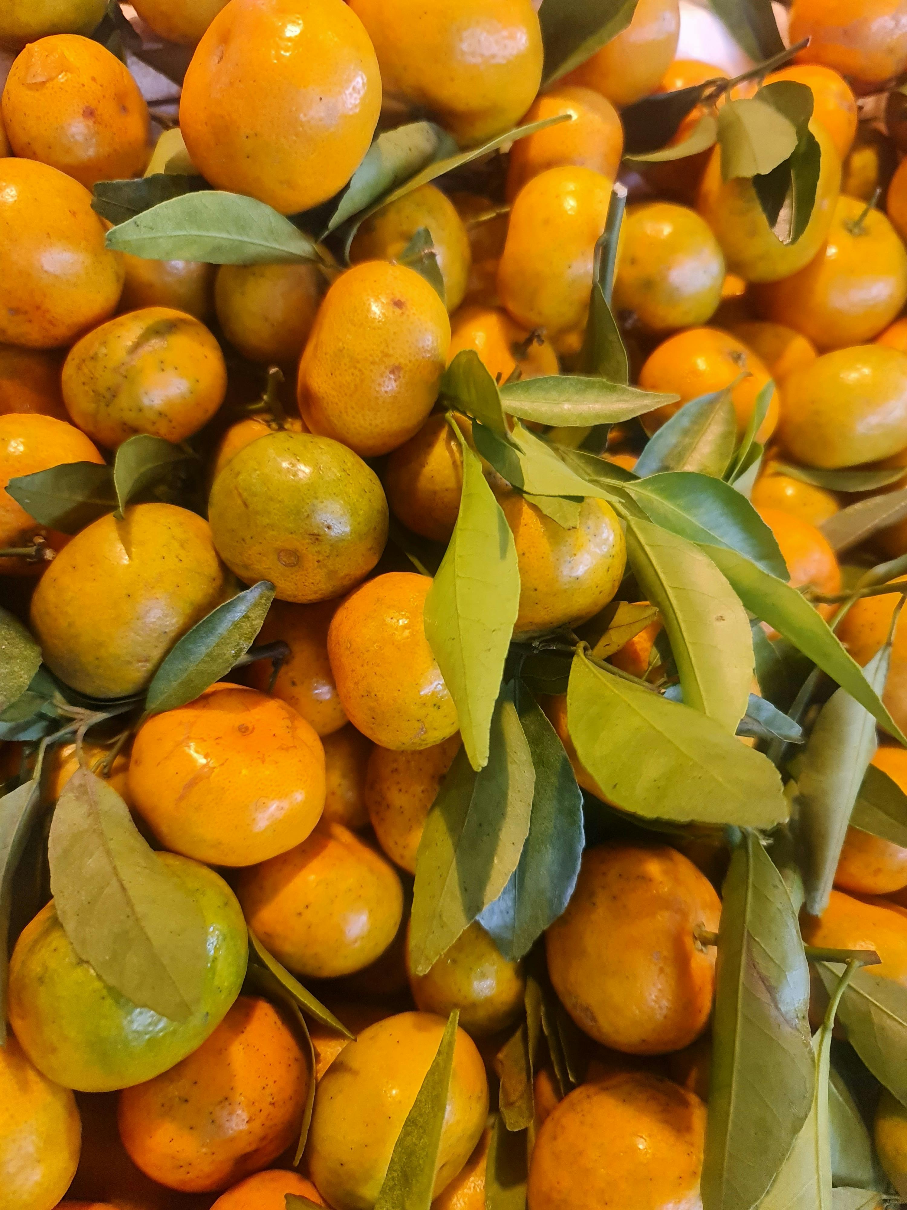 hartono subagio - Photographie