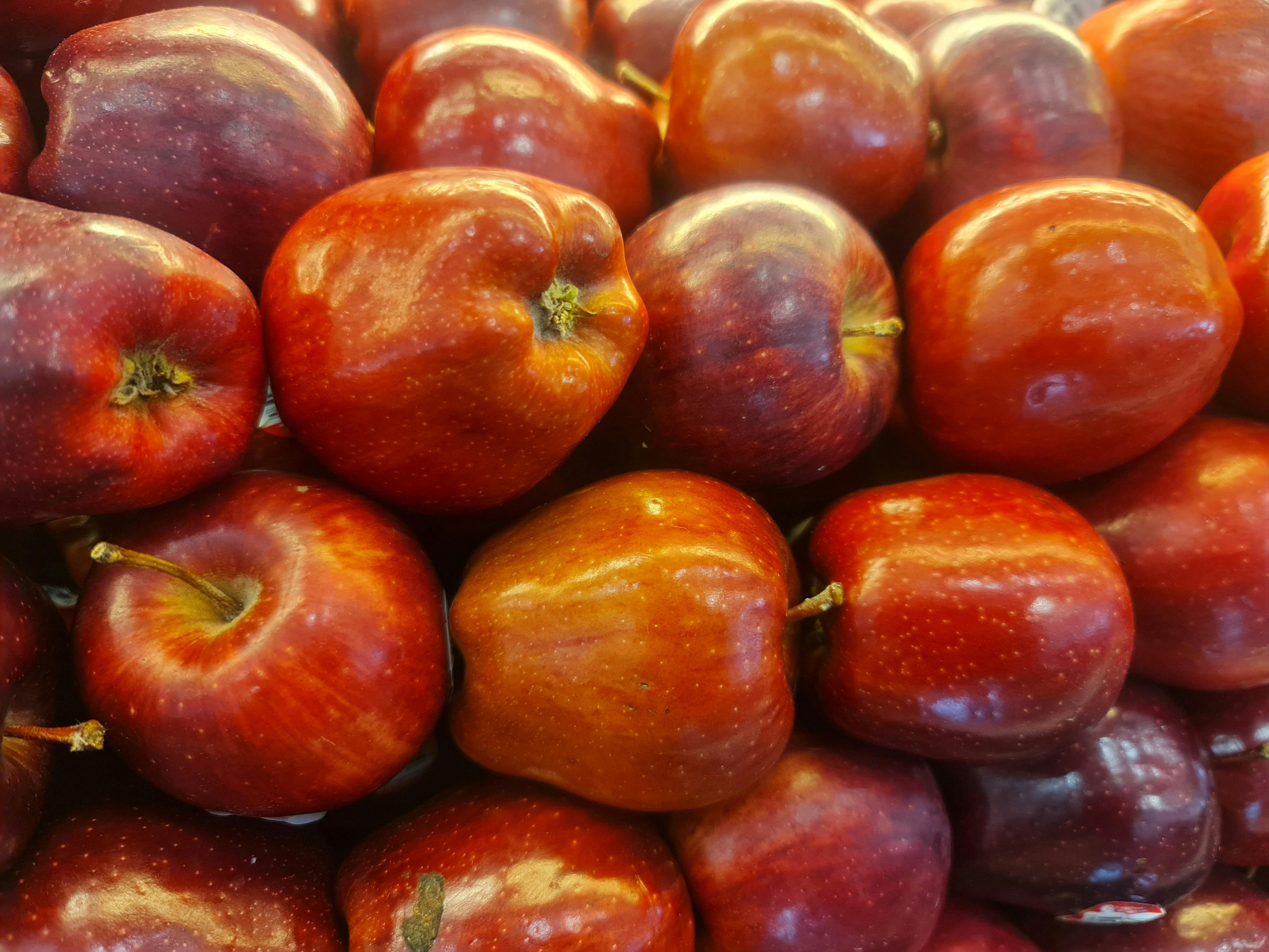 hartono subagio - Photography