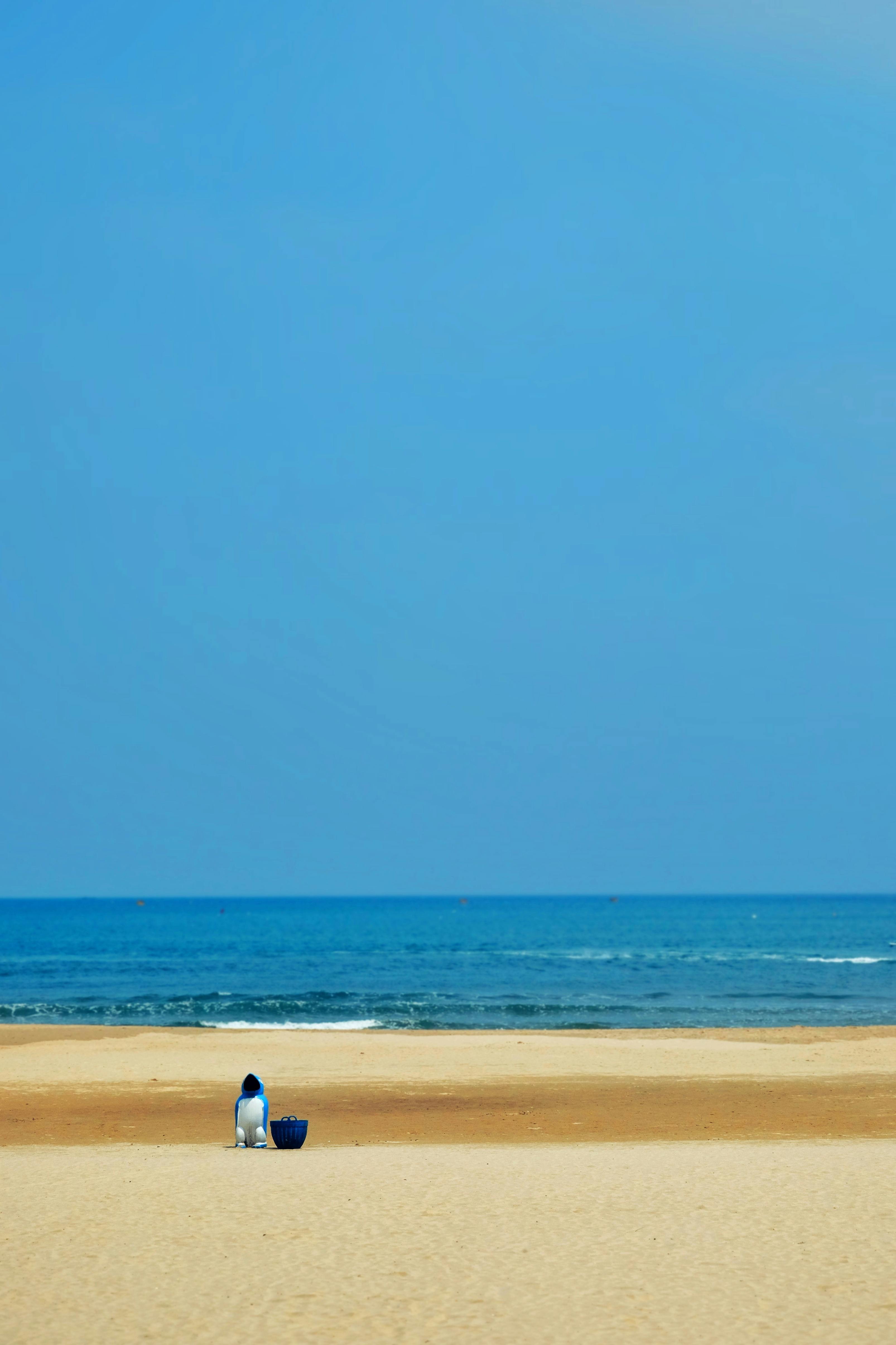 Sunlit Beach on Sea Shore · Free Stock Photo
