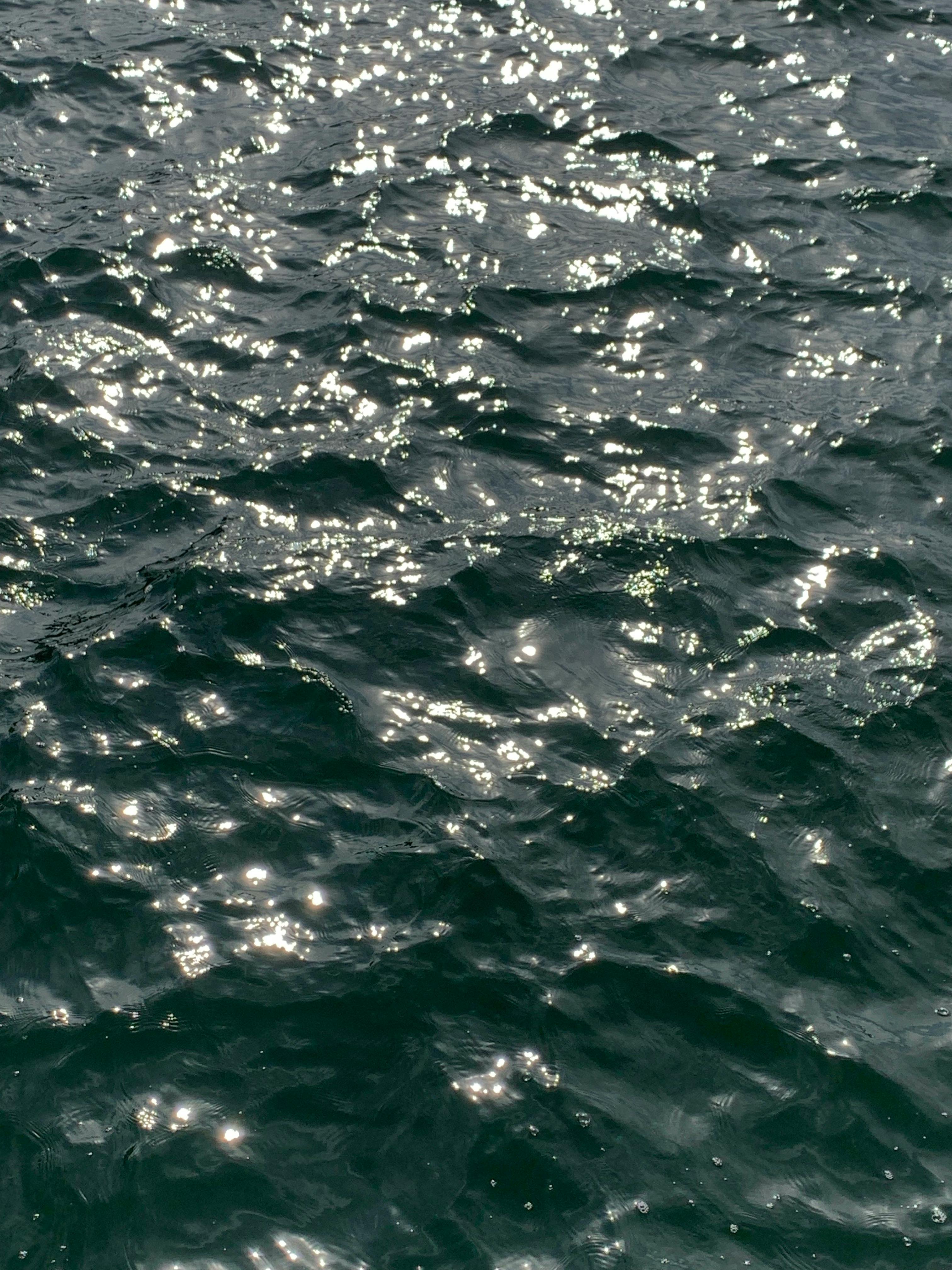 Shiny Water Surface · Free Stock Photo