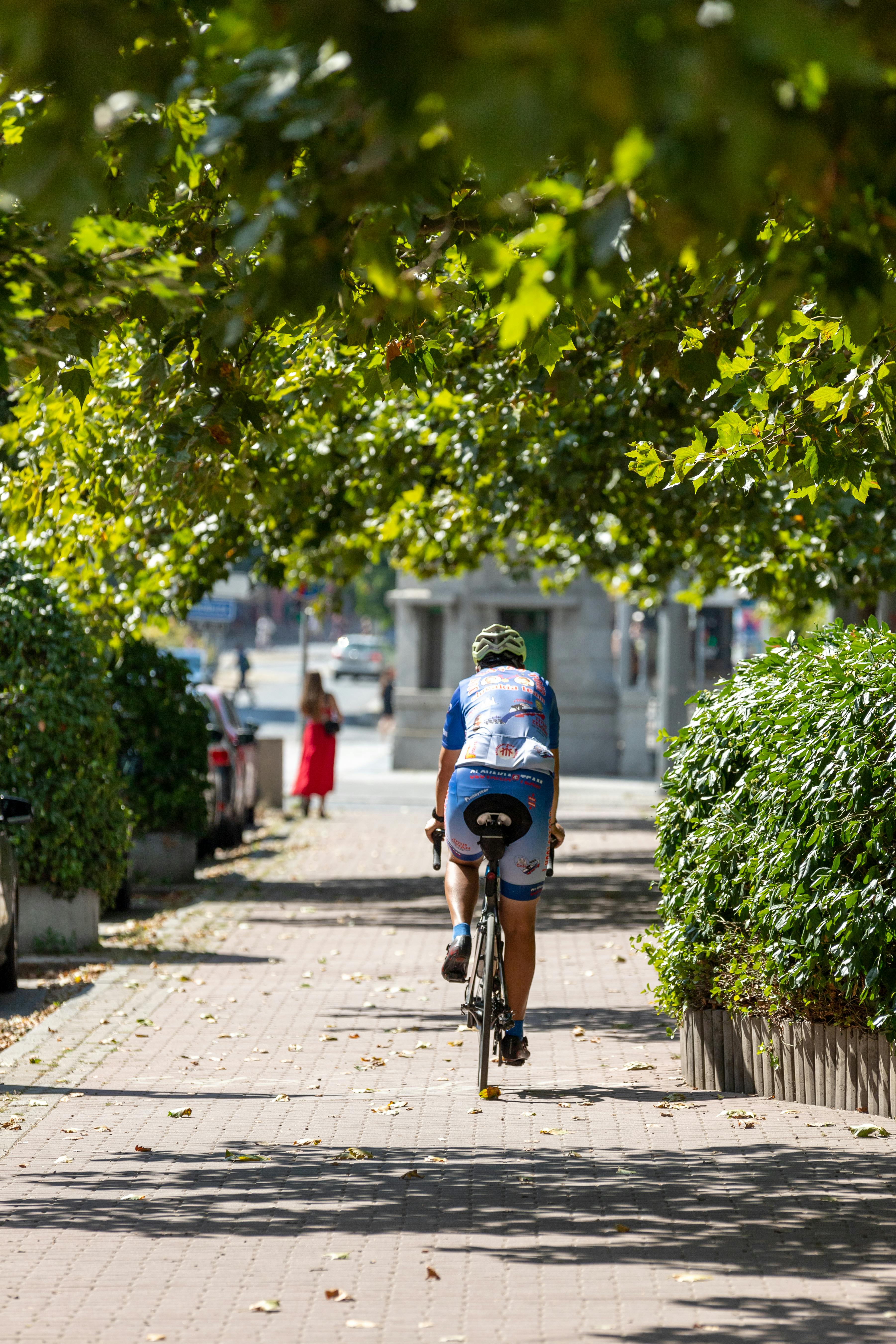 Man on Racing Bike · Free Stock Photo