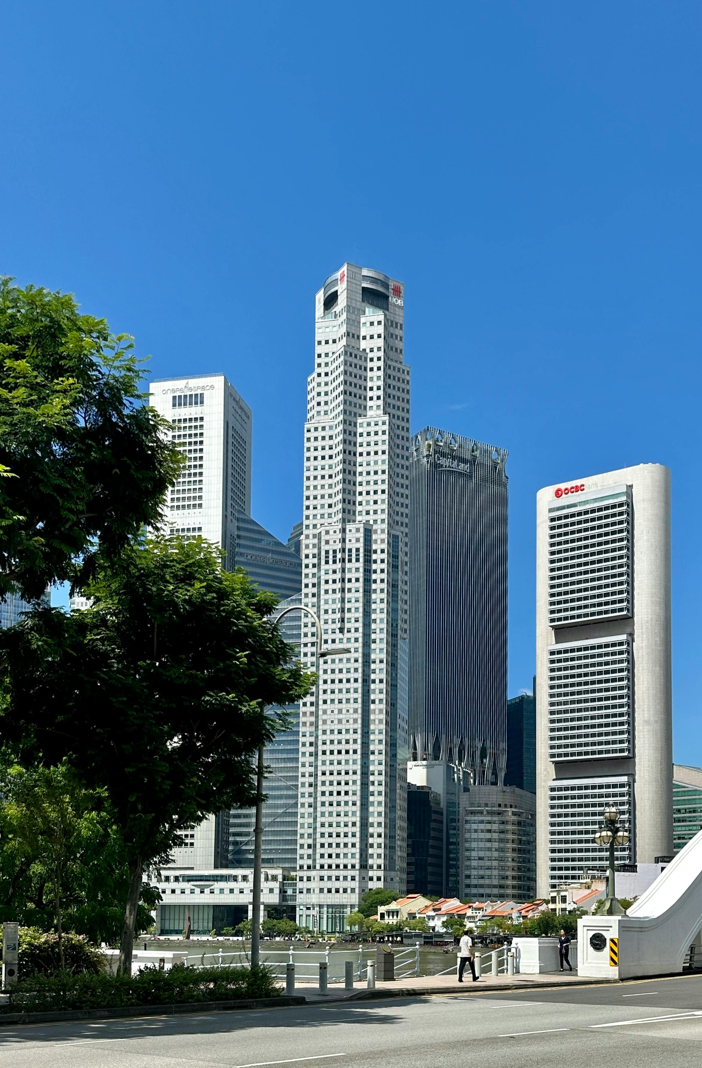 Alex Chew - Fotoğrafçılık