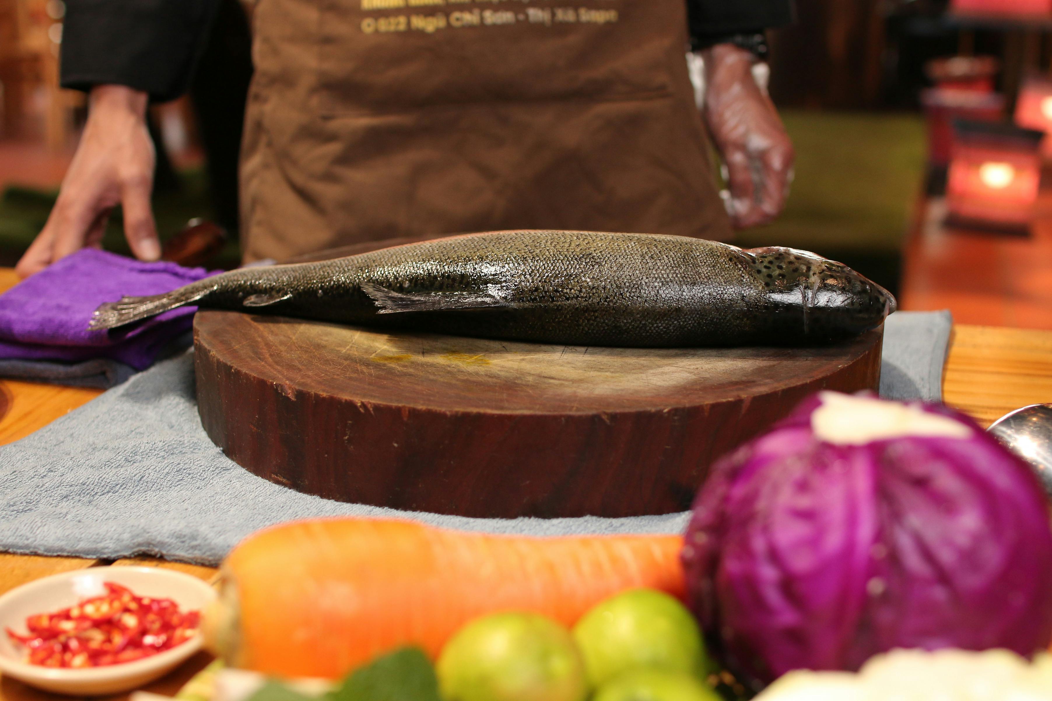 Chef Standing by a Round Stone Slab with a Fish · Free Stock Photo