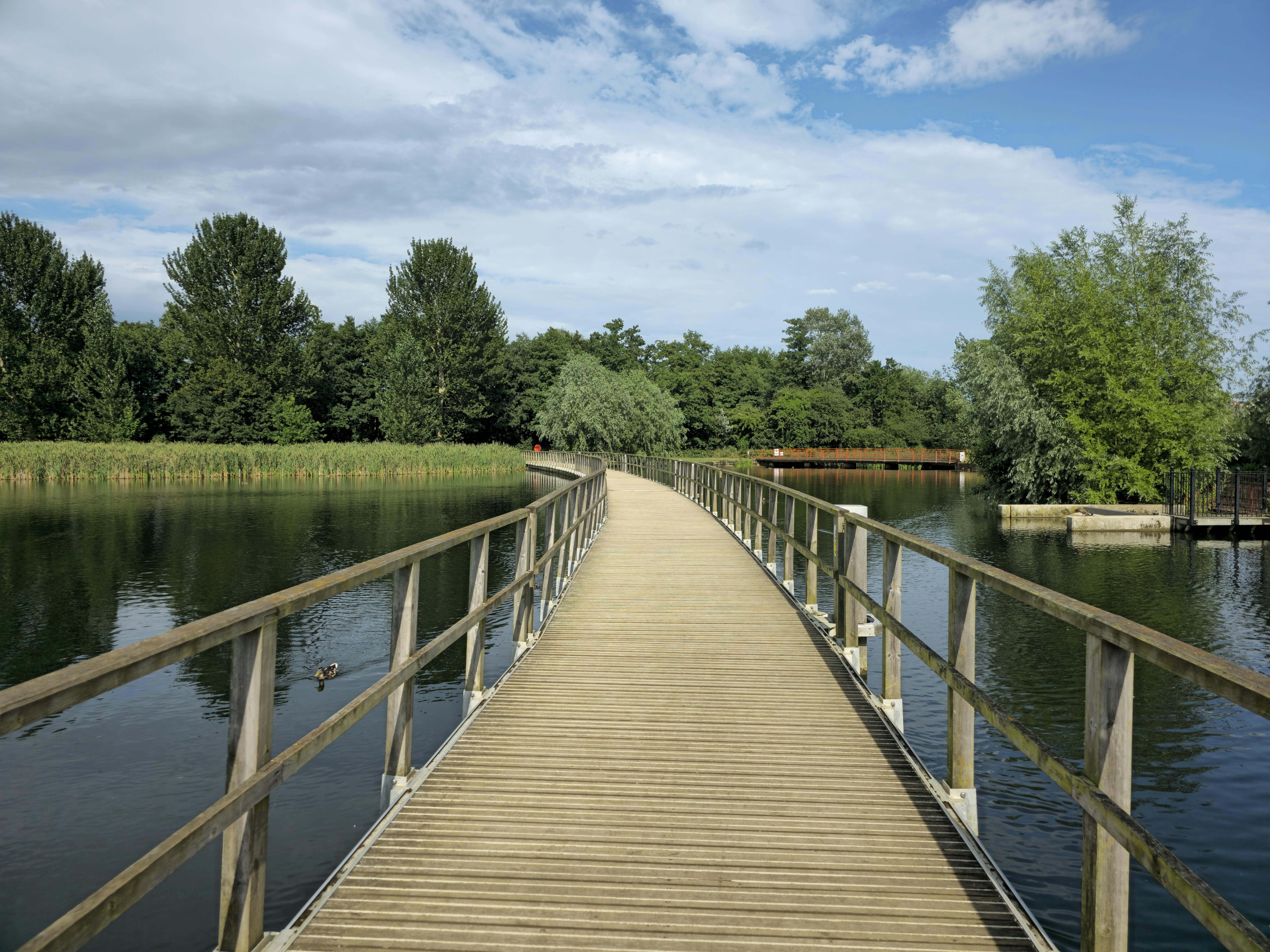 Footbridge over Lake · Free Stock Photo