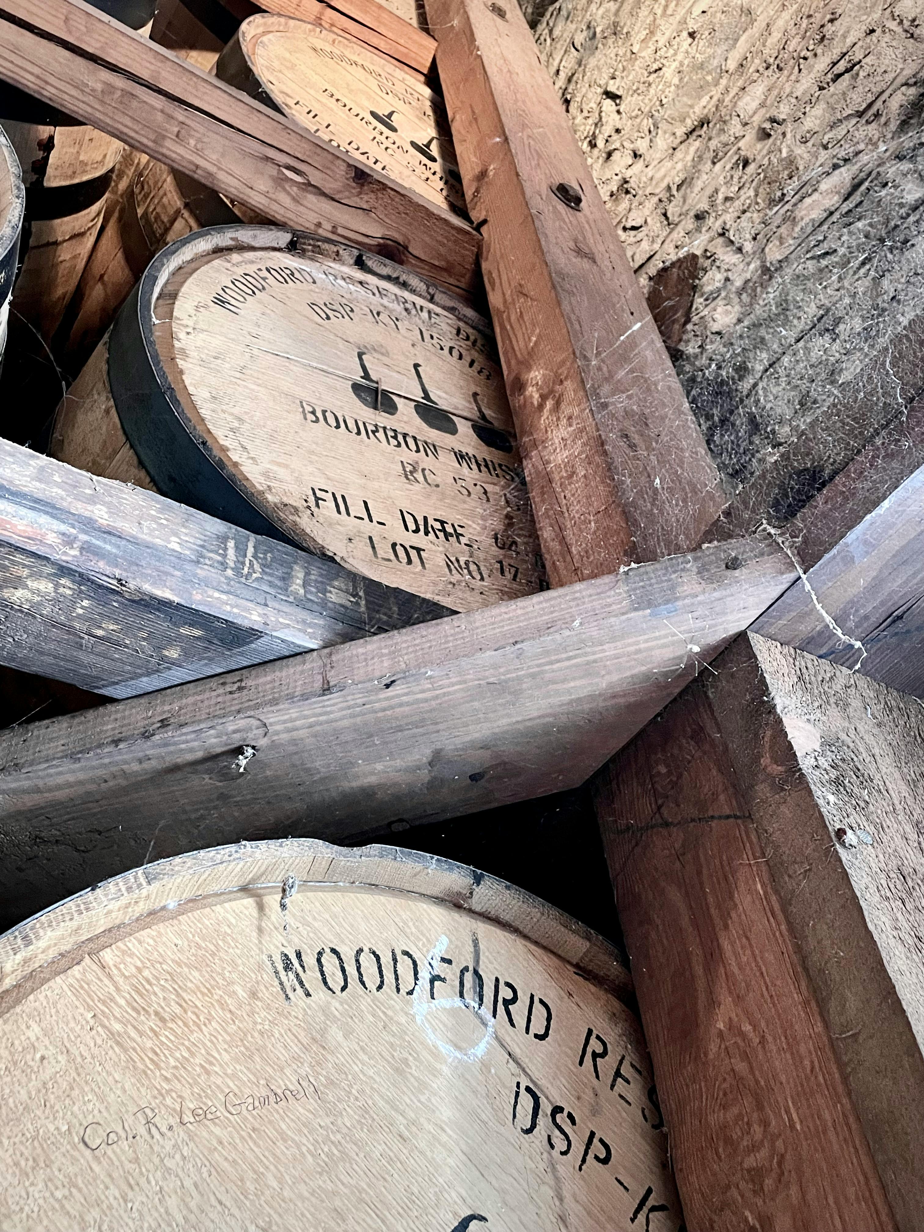 Courtney Stephens - Fotografía