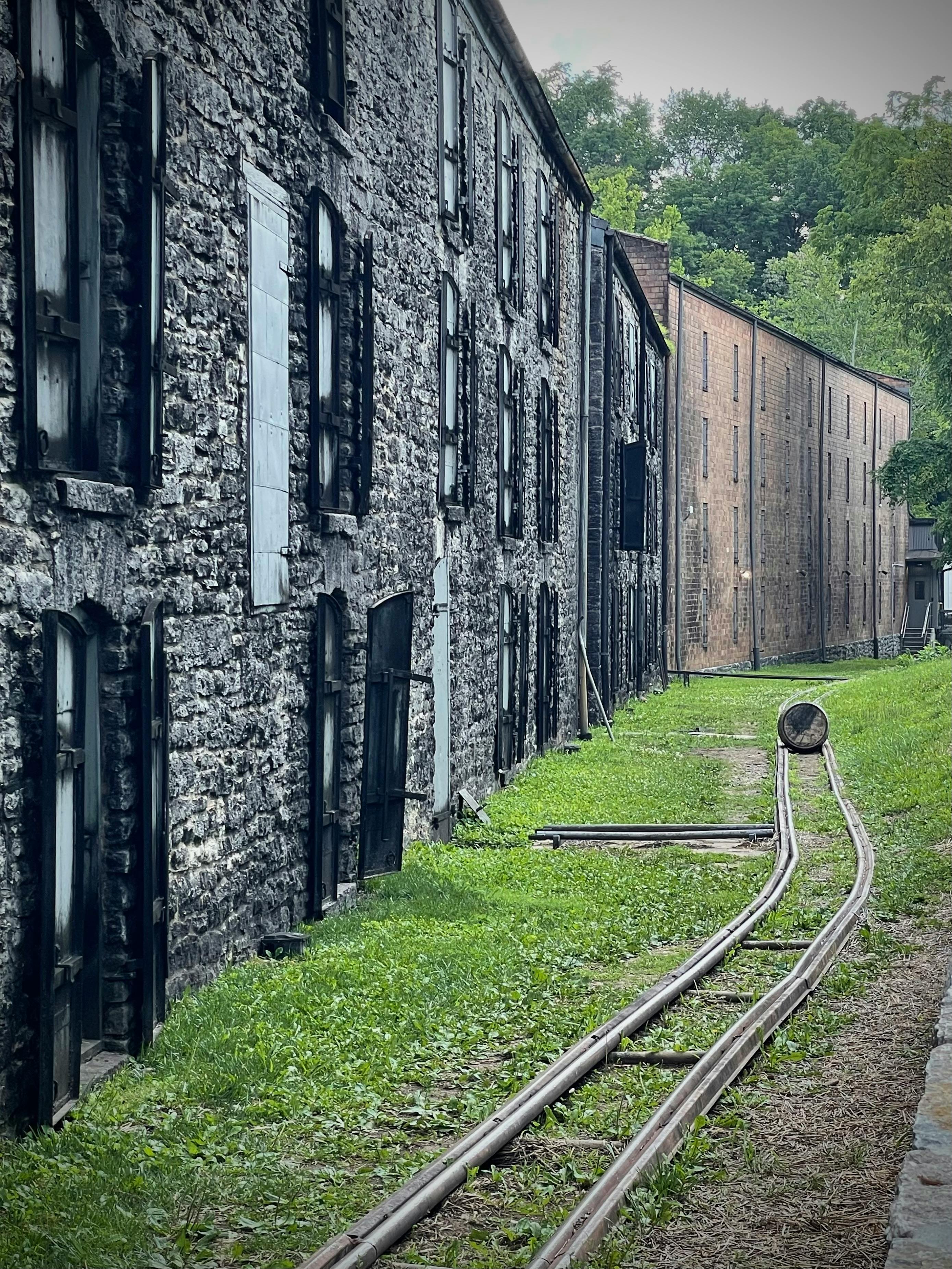 Courtney Stephens - Fotografía