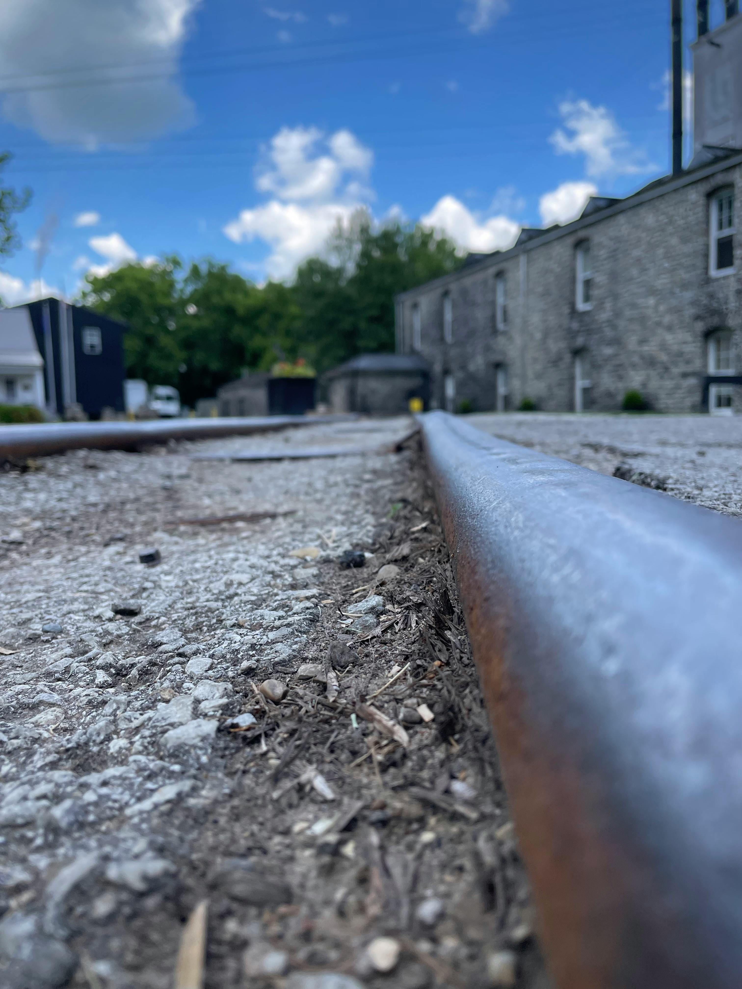 Courtney Stephens - Fotografía